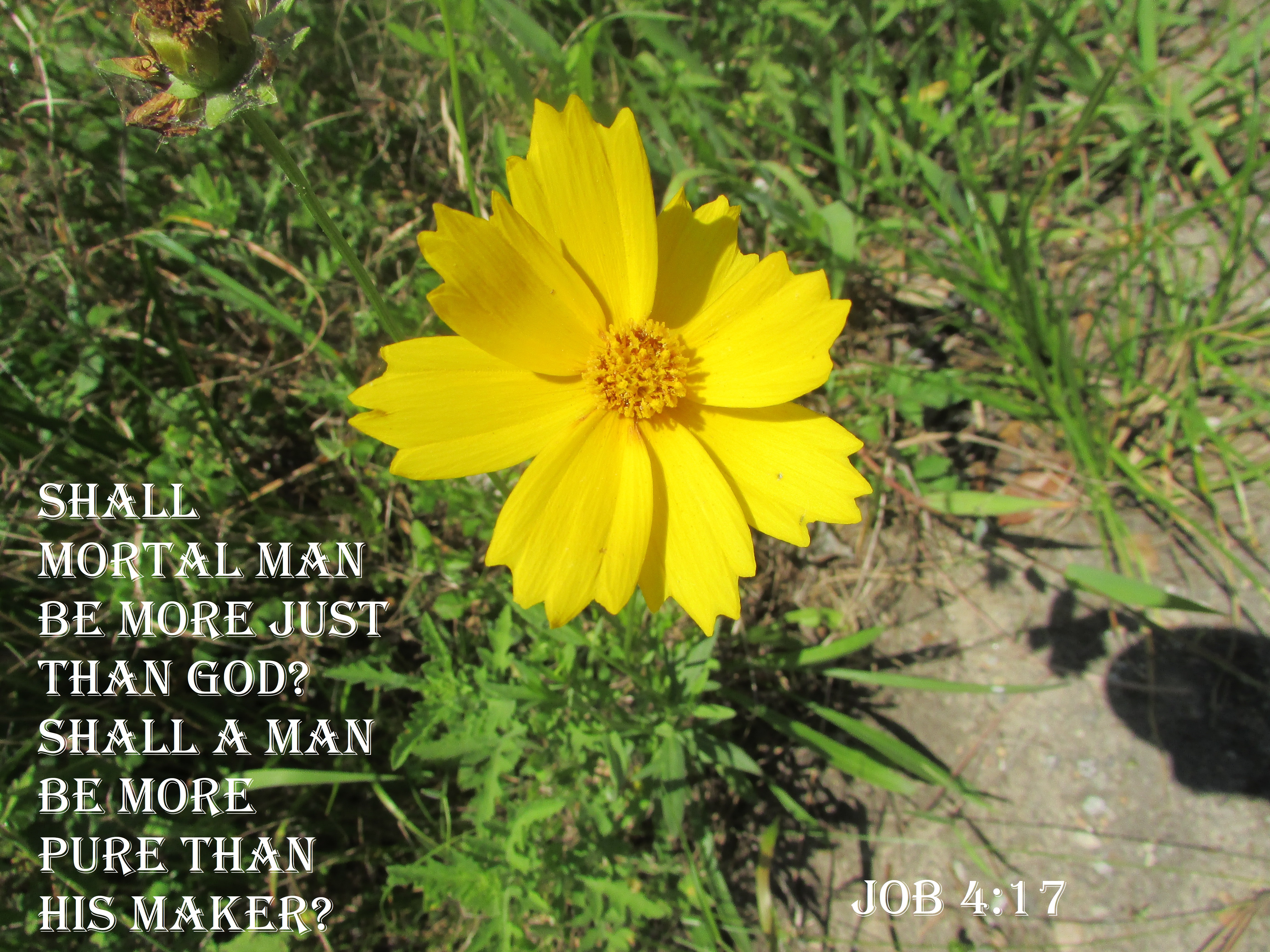 “God Is Pure” – "Common Sense Of Miracles" "Christian National Church ...