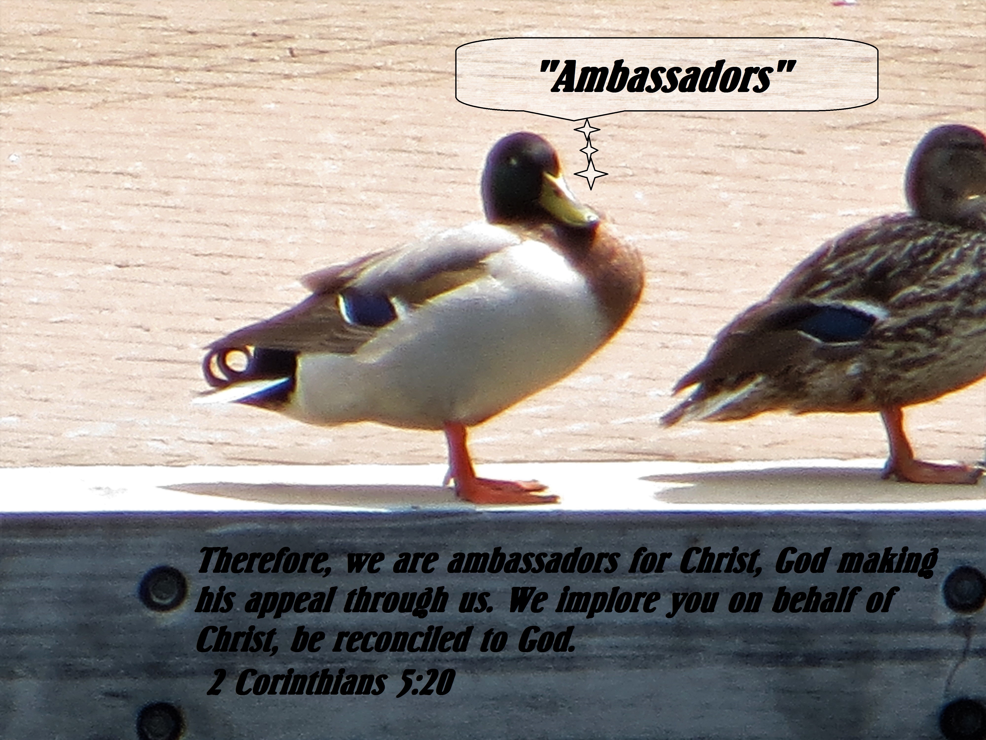“Ambassadors” – "Common Sense Of Miracles" "Christian National Church ...