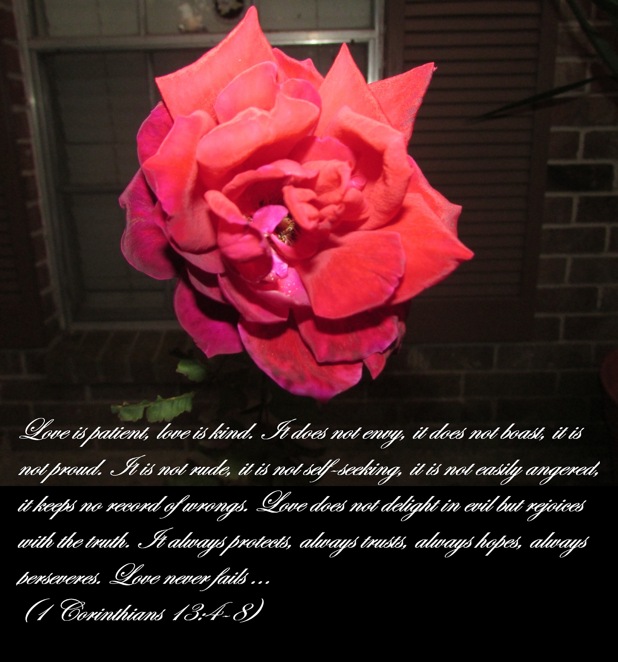 “15 Qualities Of Love” – "Common Sense Of Miracles" "Christian National ...