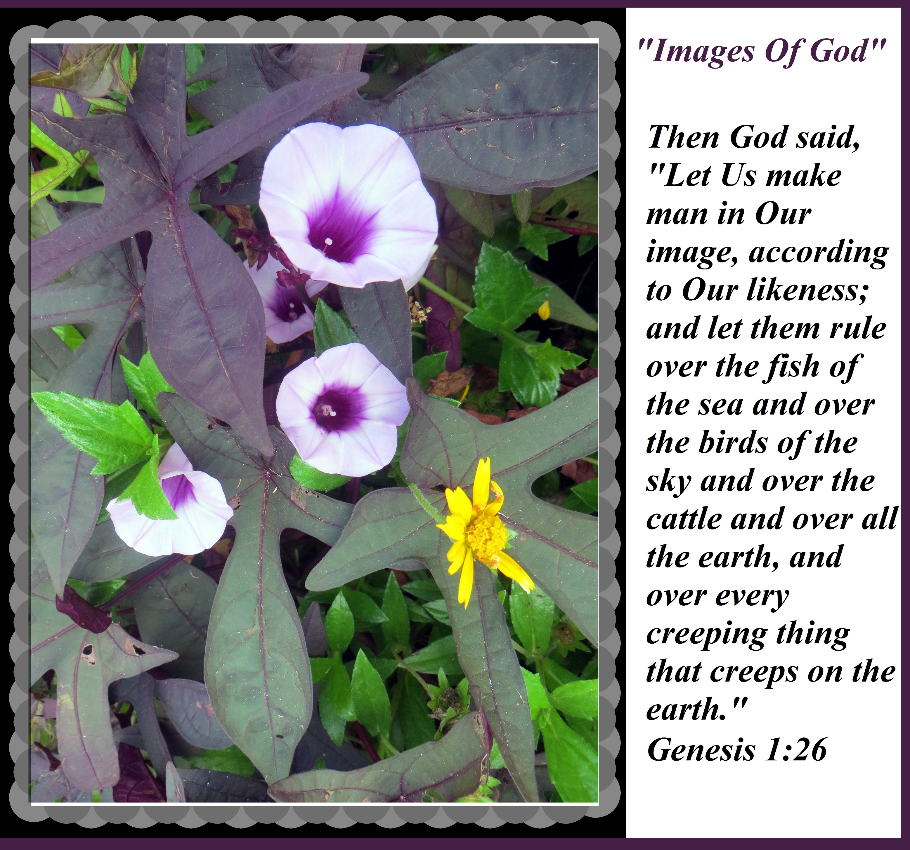“Images Of God” – "Common Sense Of Miracles" "Christian National Church ...