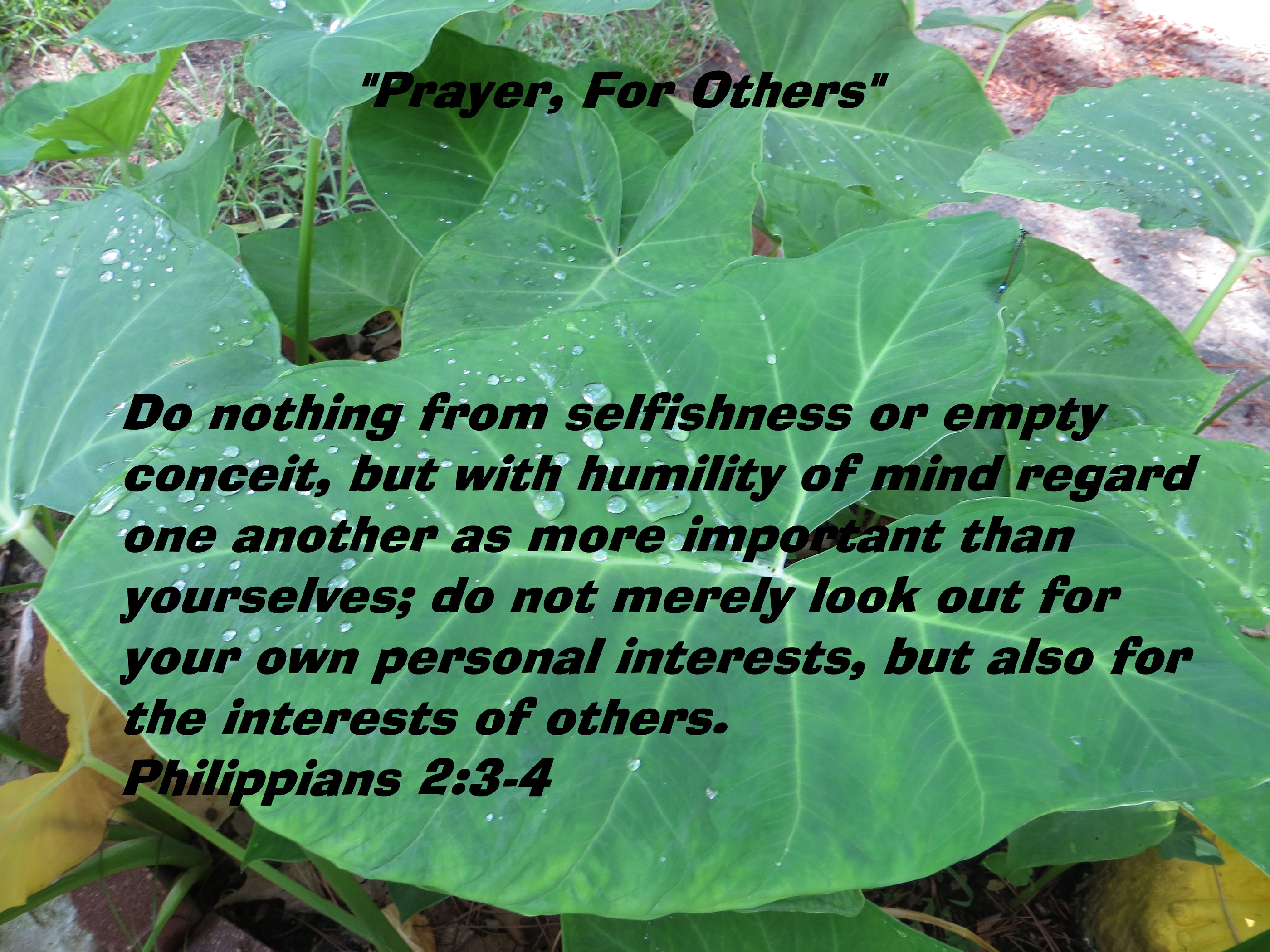 “Prayer, For Others” – "Common Sense Of Miracles" "Christian National ...