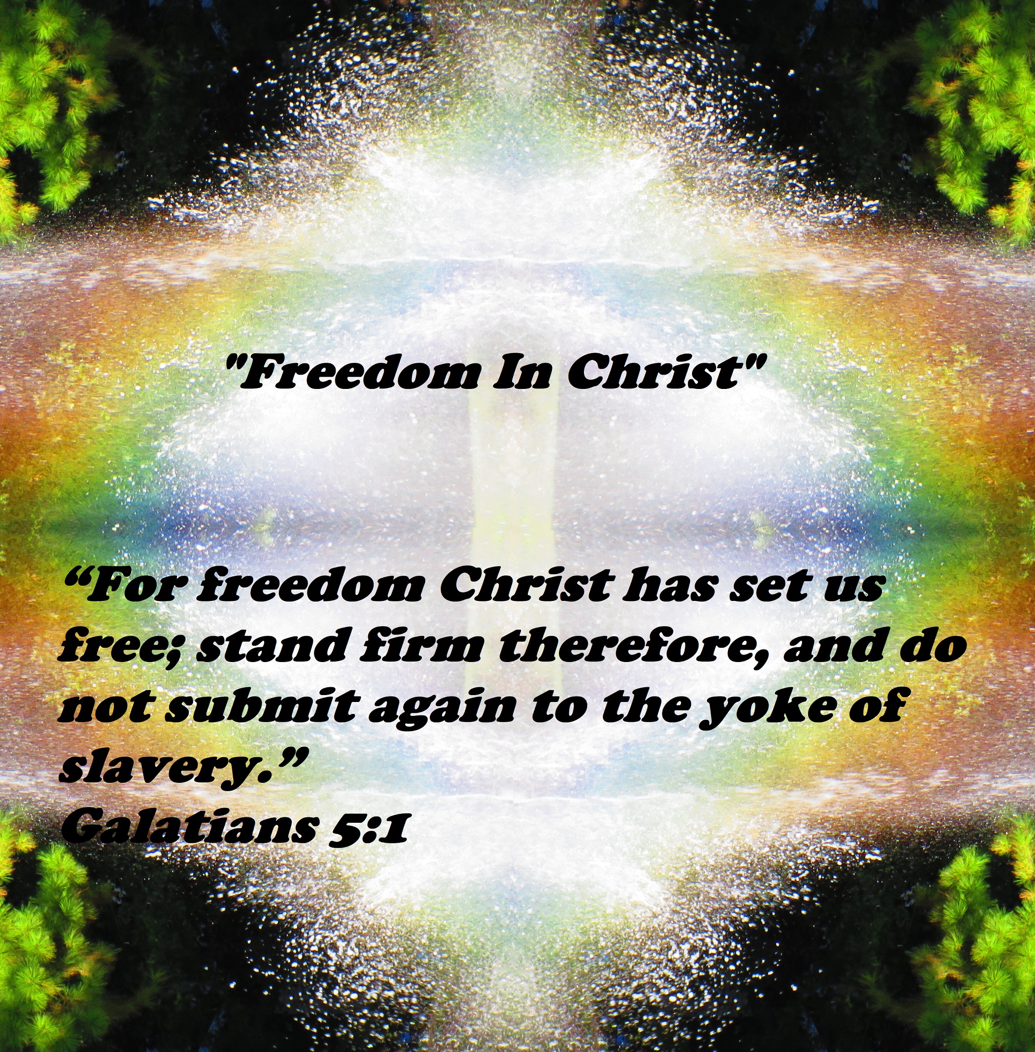 “Freedom In Christ” – "Common Sense Of Miracles" "Christian National ...