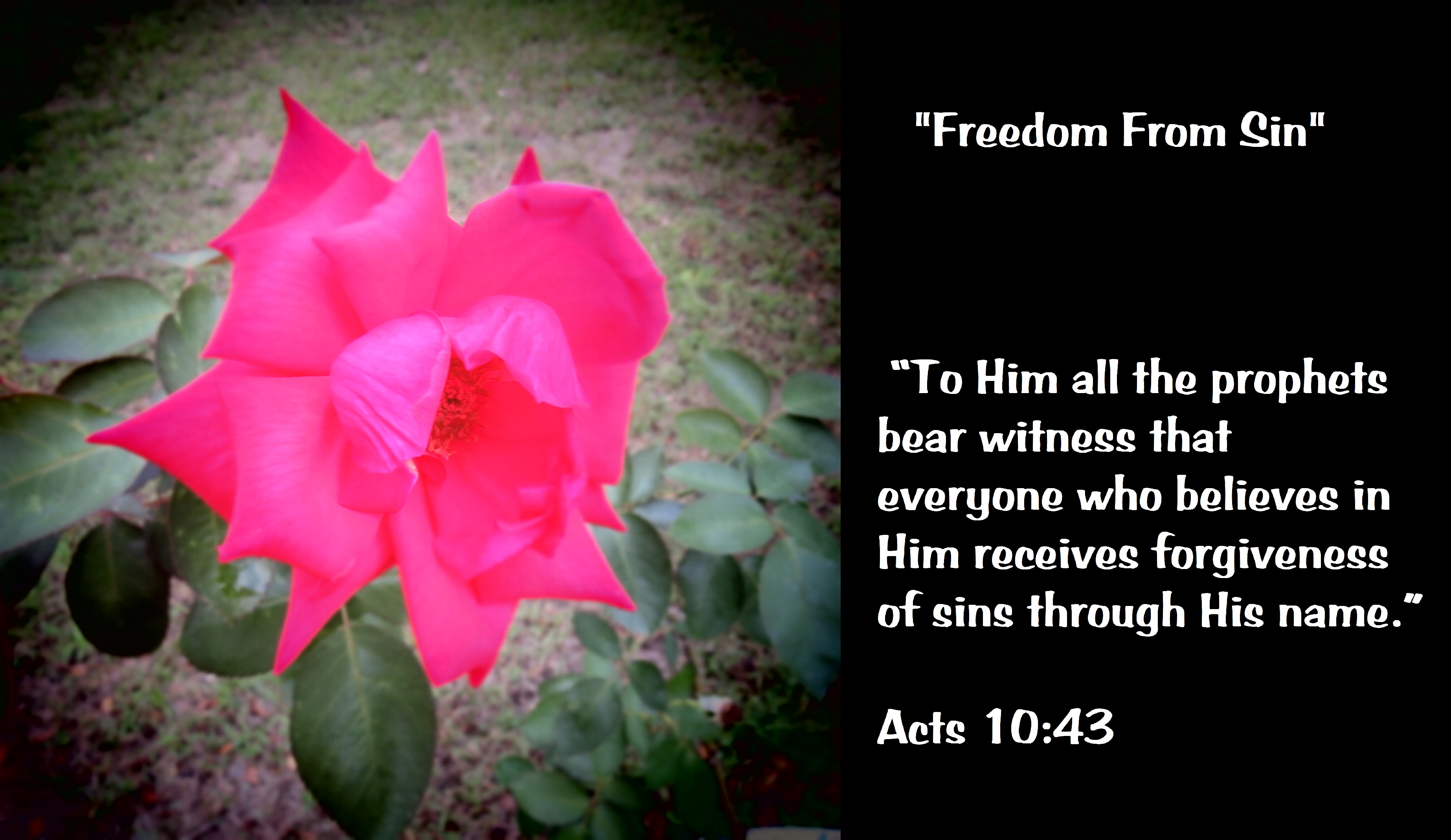 “Freedom From Sin” – "Common Sense Of Miracles" "Christian National ...