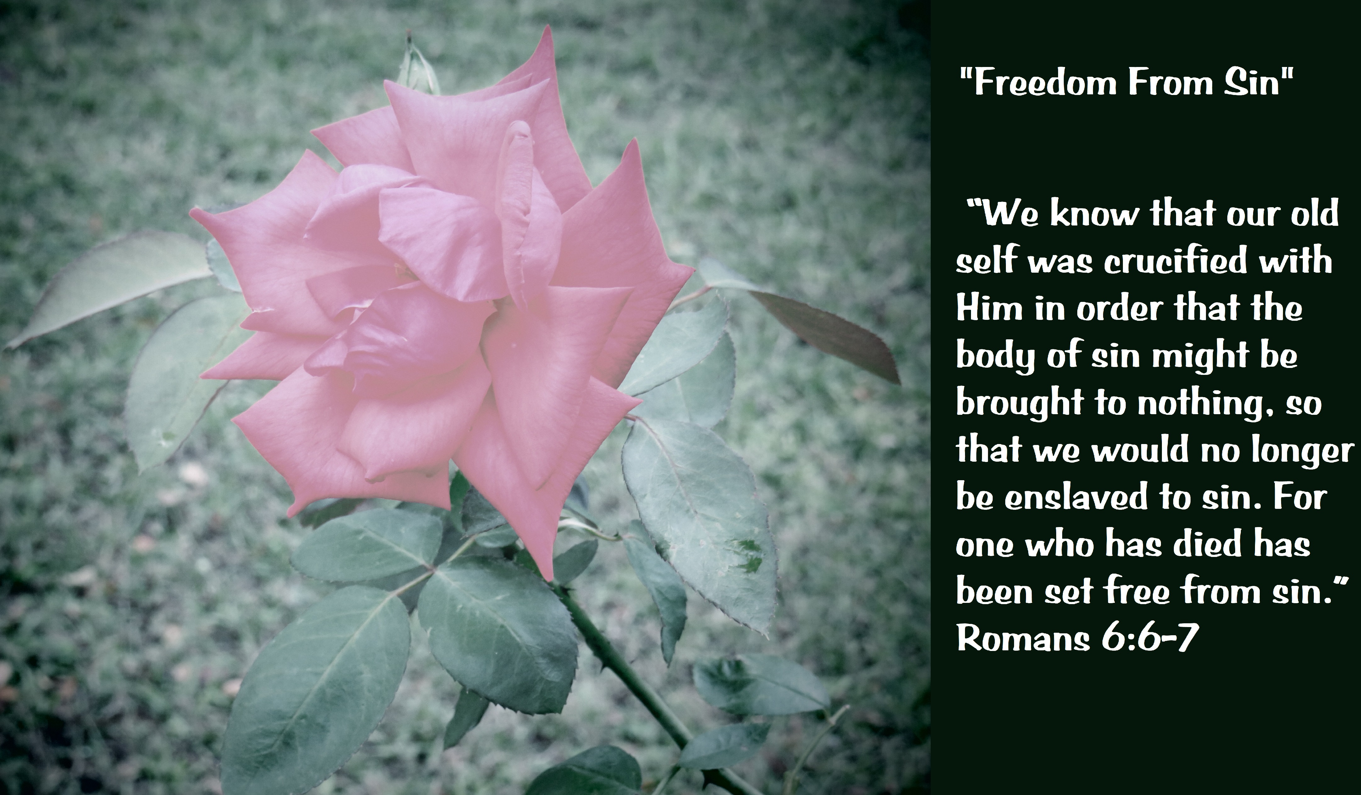 “Freedom From Sin” – "Common Sense Of Miracles" "Christian National ...
