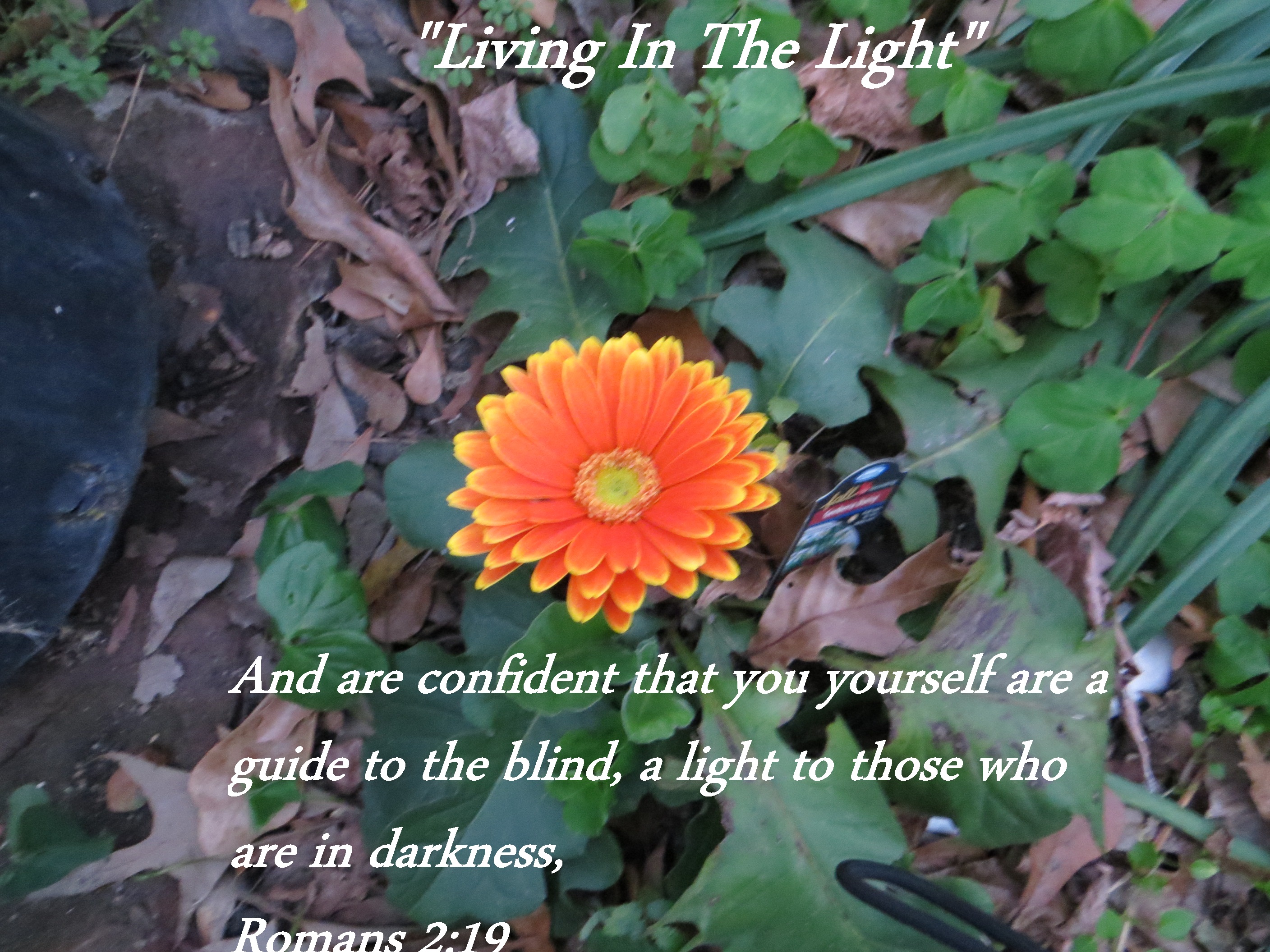 “Living In The Light” – "Common Sense Of Miracles" "Christian National ...