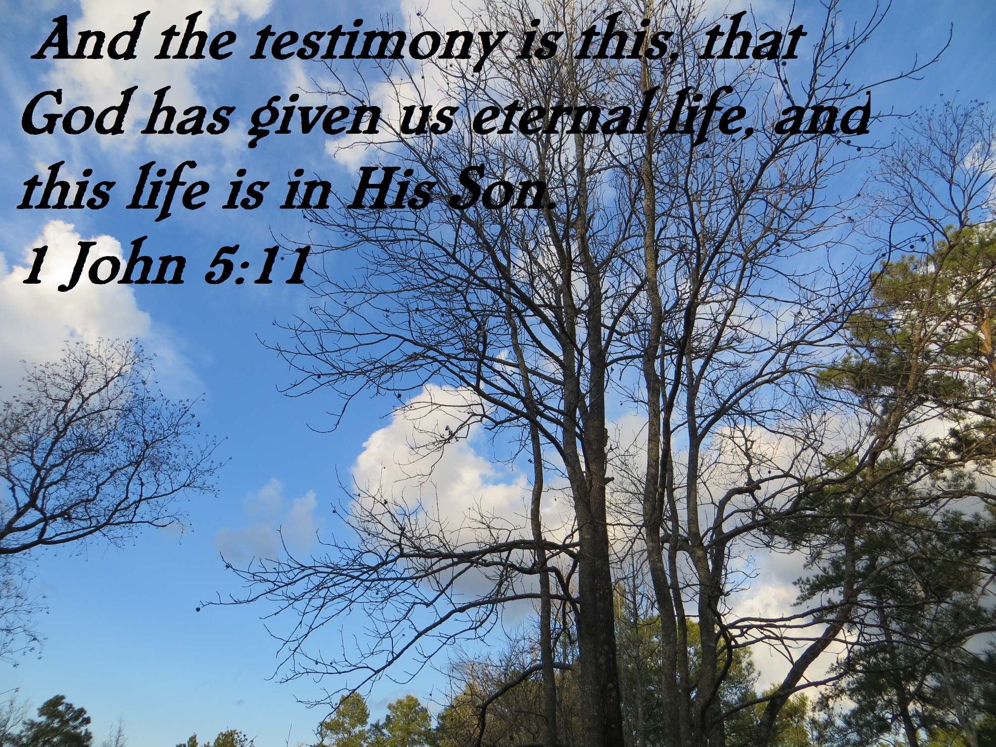 “Life, Everlasting” – "Common Sense Of Miracles" "Christian National ...