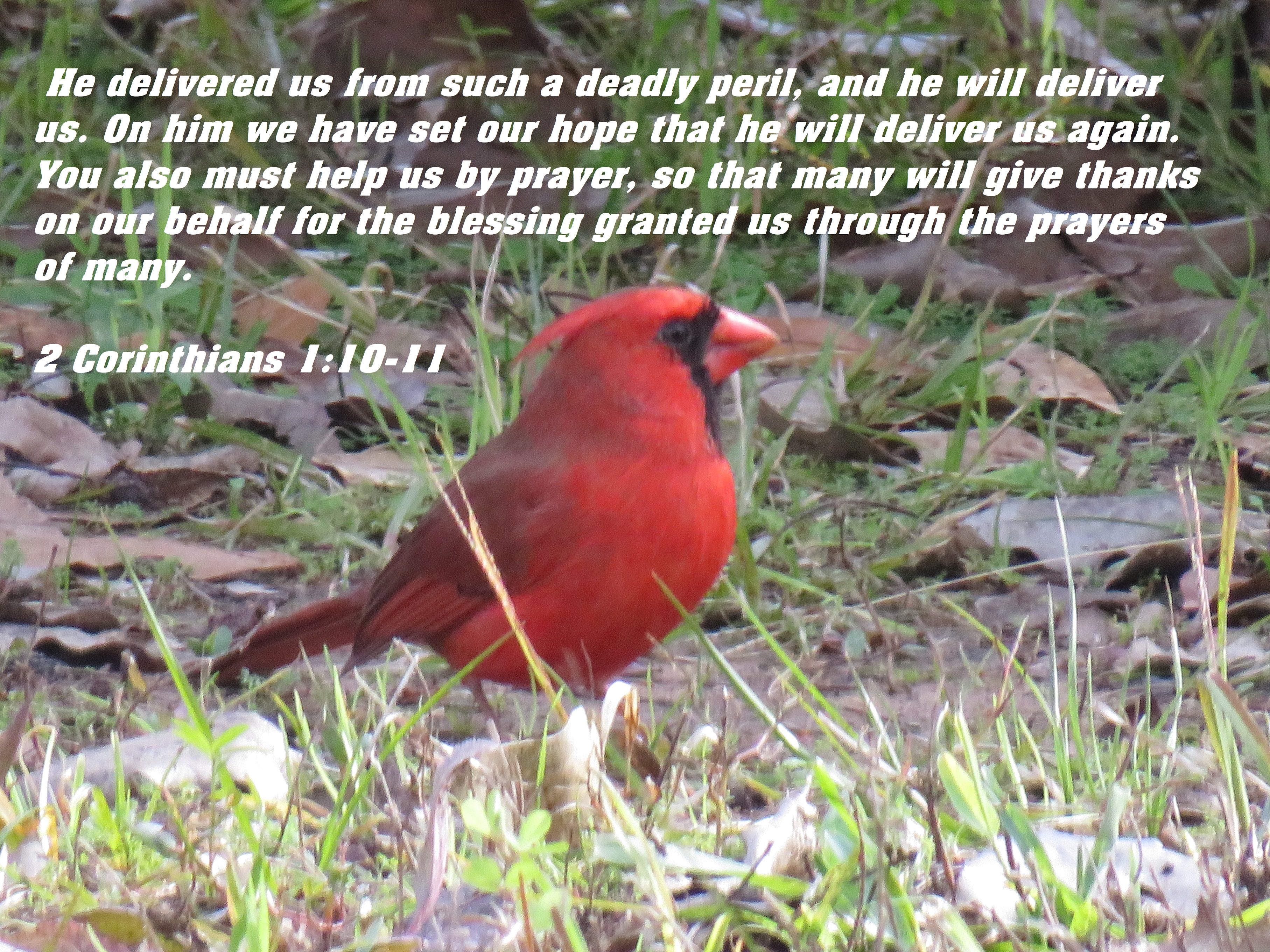 “Adversity We See God & Need for Jesus” – "Common Sense Of Miracles ...