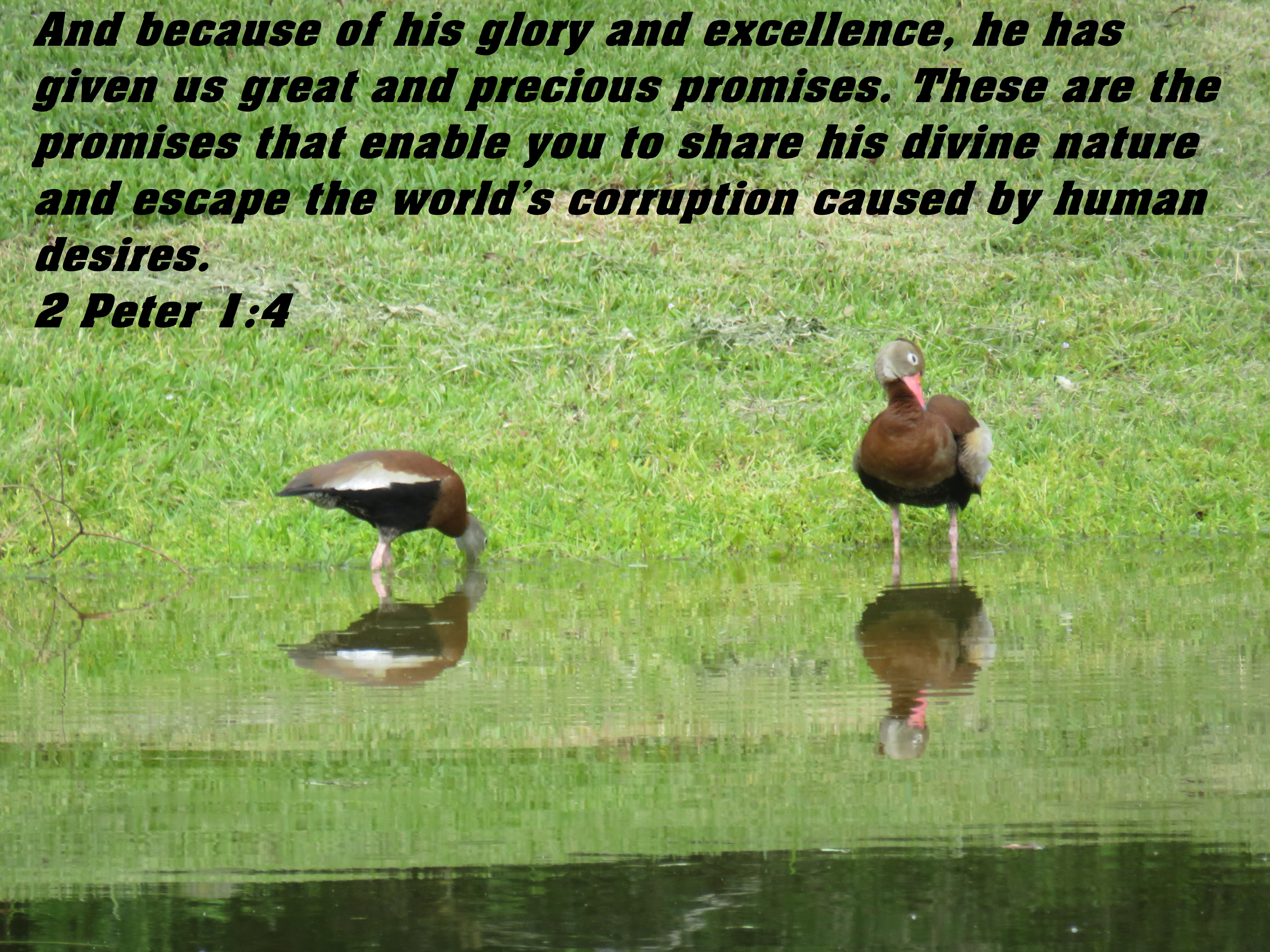 “Promise Of Happiness & Satisfaction” – "Common Sense Of Miracles ...