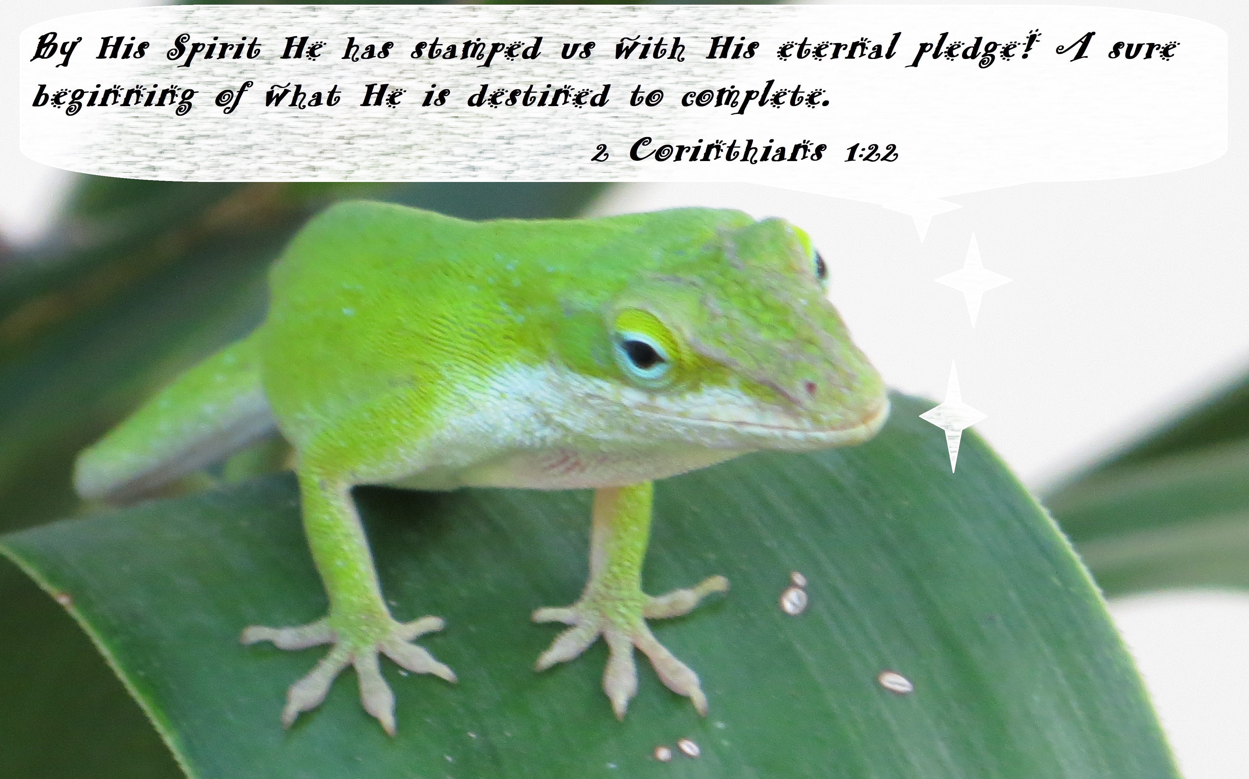 “Holy Spirit Pledge” – "Common Sense Of Miracles" "Christian National ...