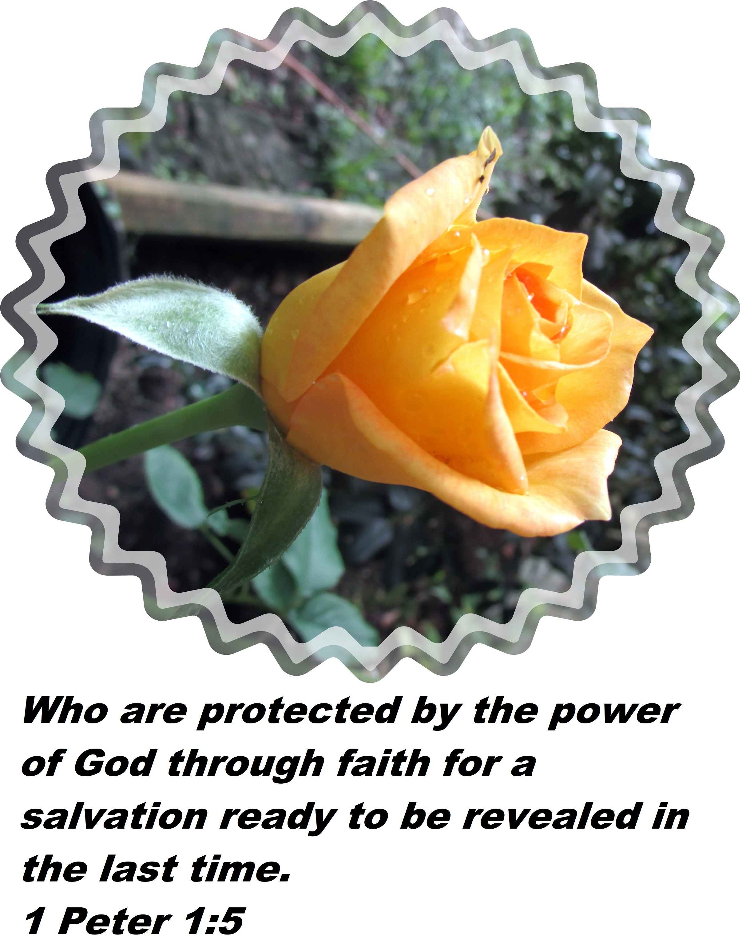 “Children’s Protection” – "Common Sense Of Miracles" "Christian ...