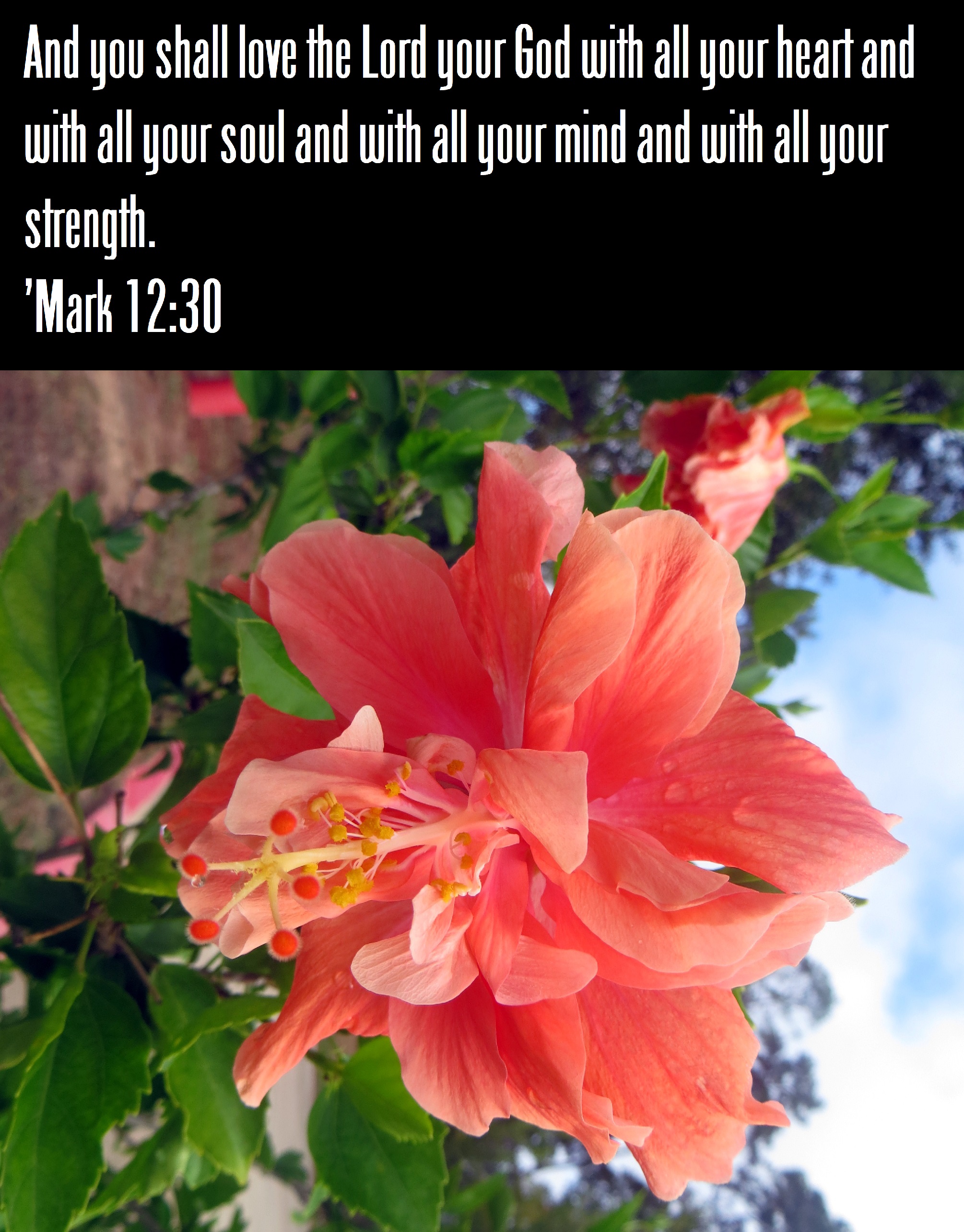 “Awaking My Soul” – "Common Sense Of Miracles" "Christian National ...