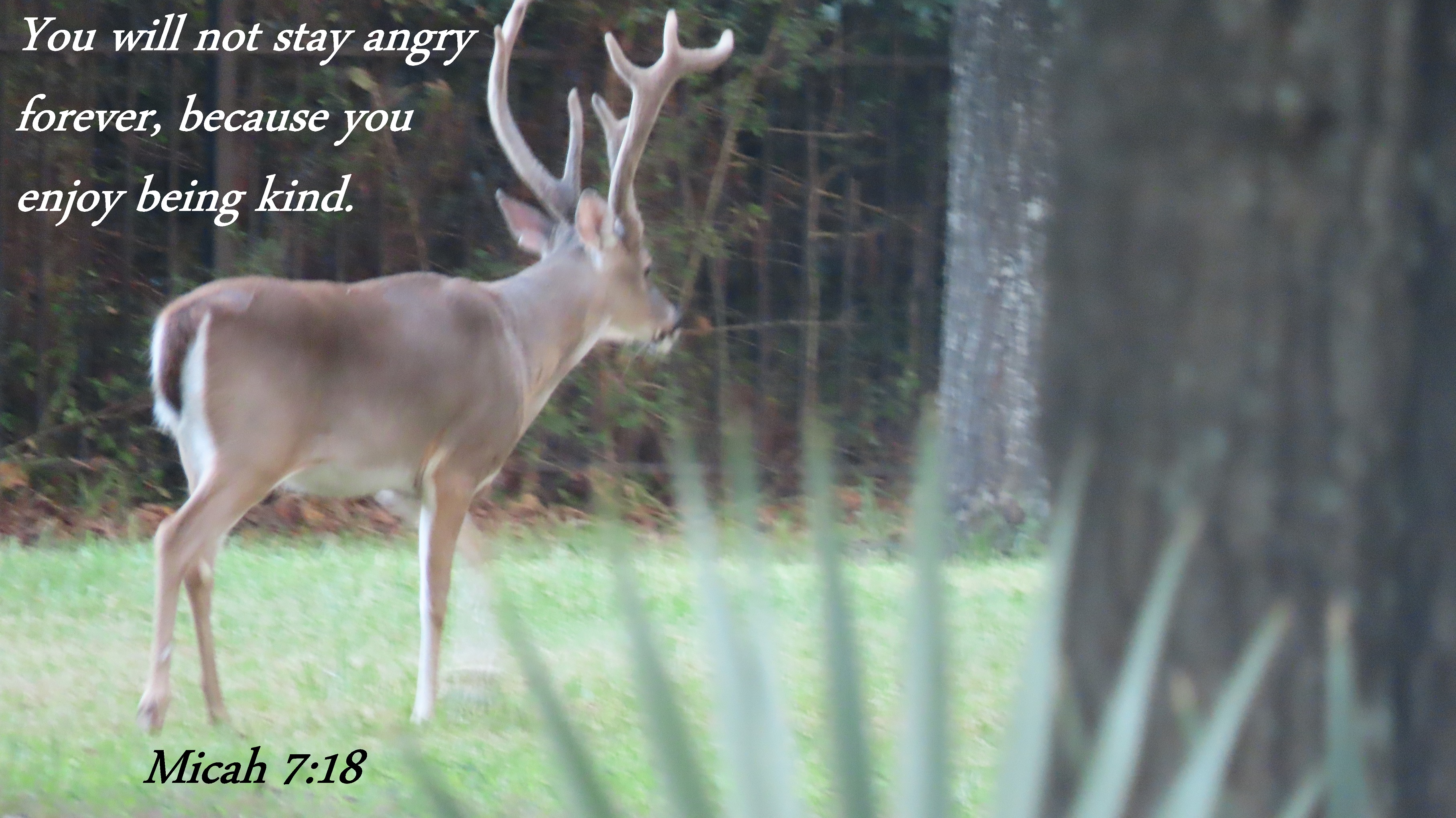 “No More Anger” – "Common Sense Of Miracles" "Christian National Church ...