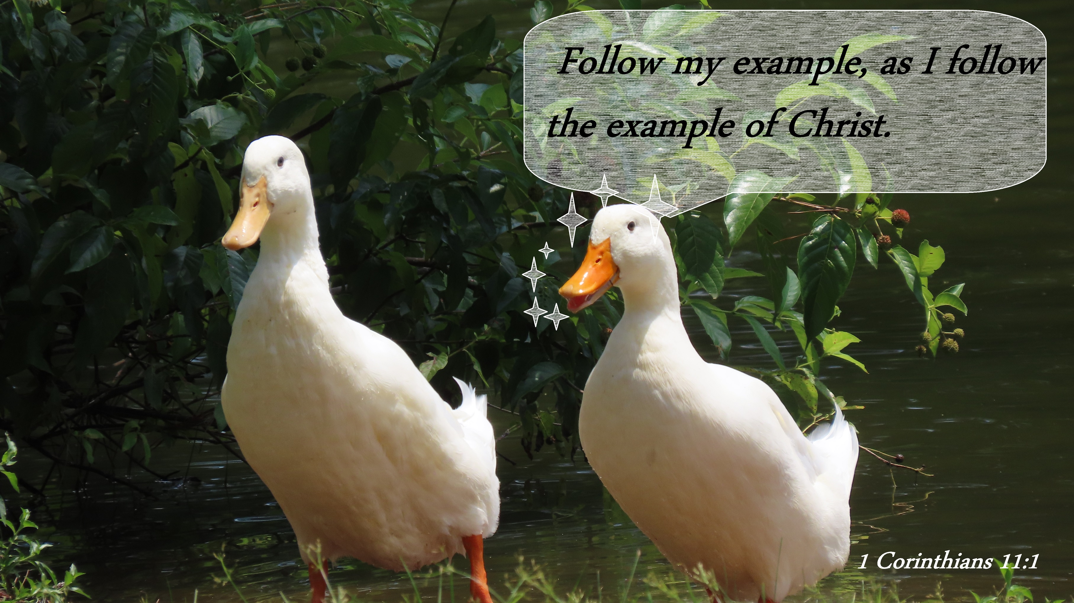 “Follow My Example” – "Common Sense Of Miracles" "Christian National ...