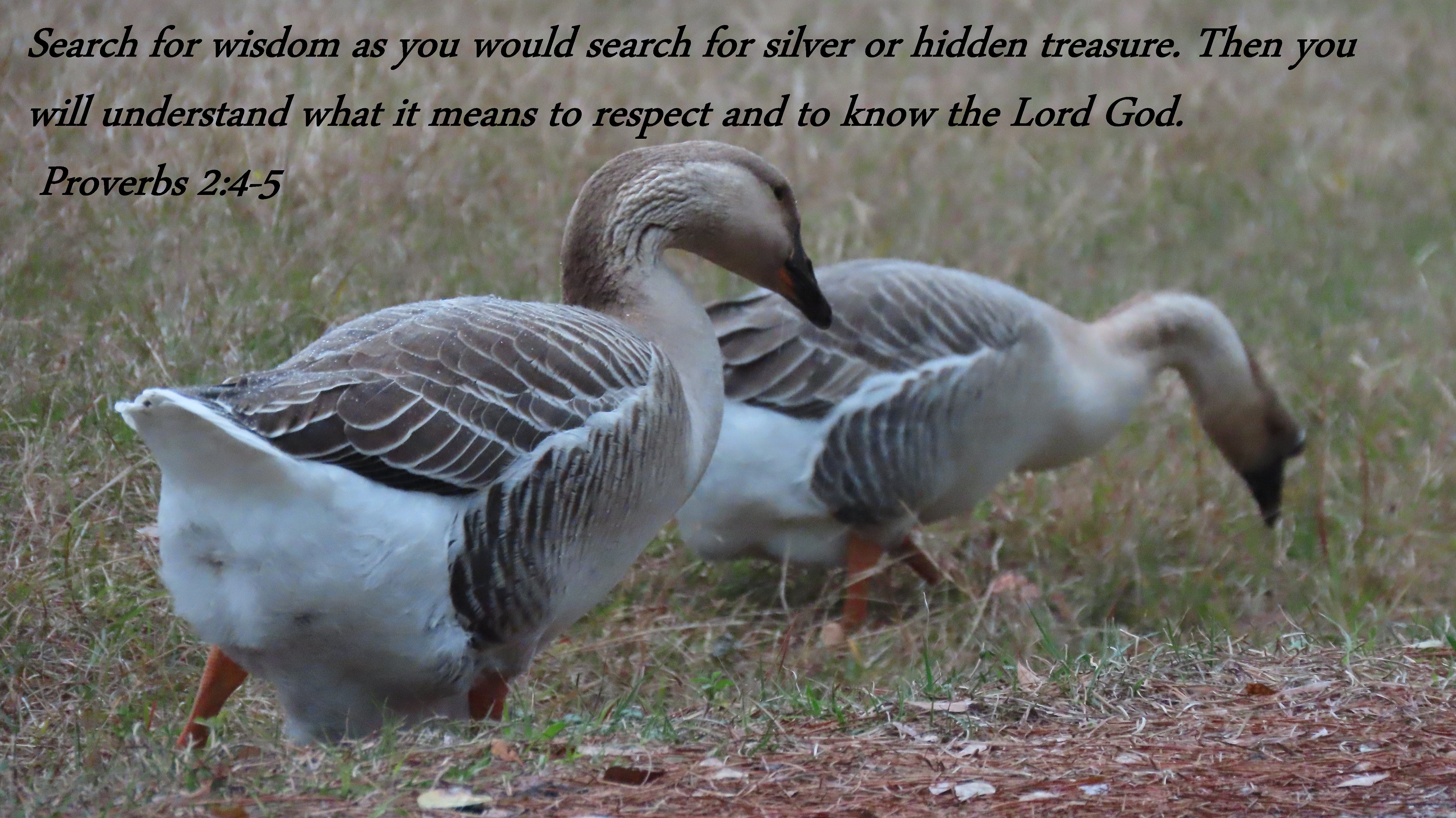 “Hidden Treasure” – "Common Sense Of Miracles" "Christian National ...