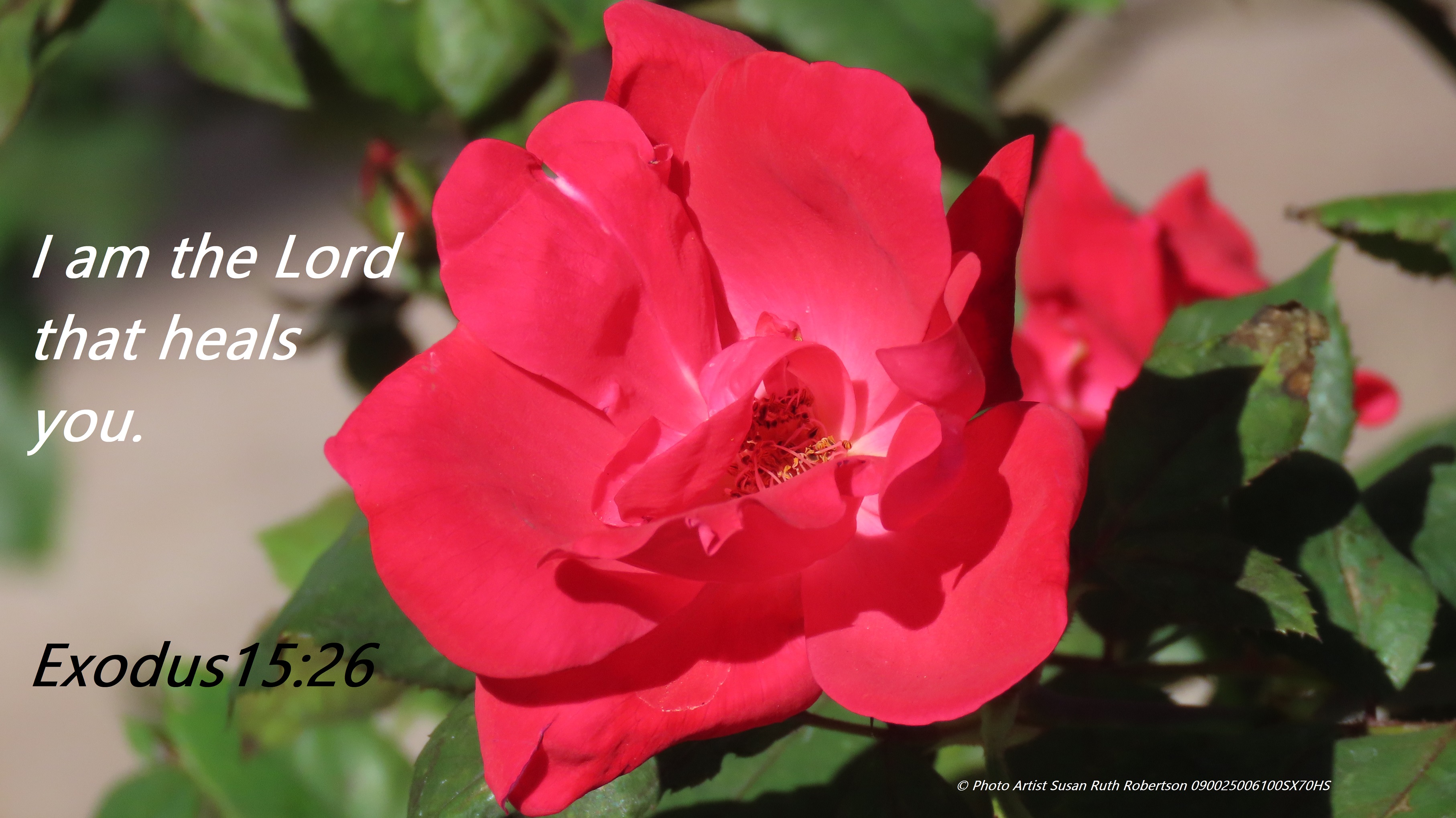 “God Heals” – "Common Sense Of Miracles" "Christian National Church Of ...