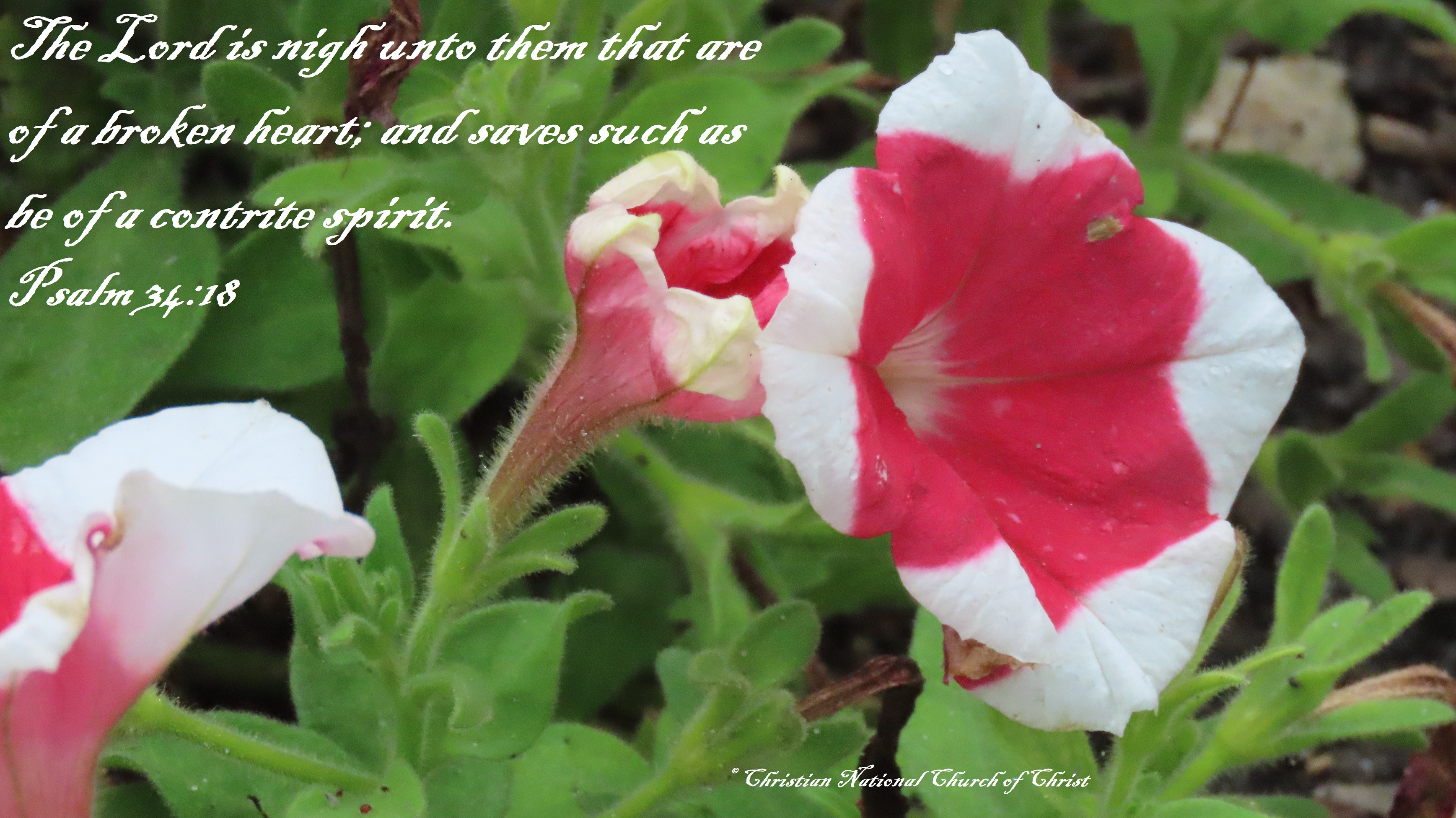 “Contrite Spirit” – "Common Sense Of Miracles" "Christian National ...