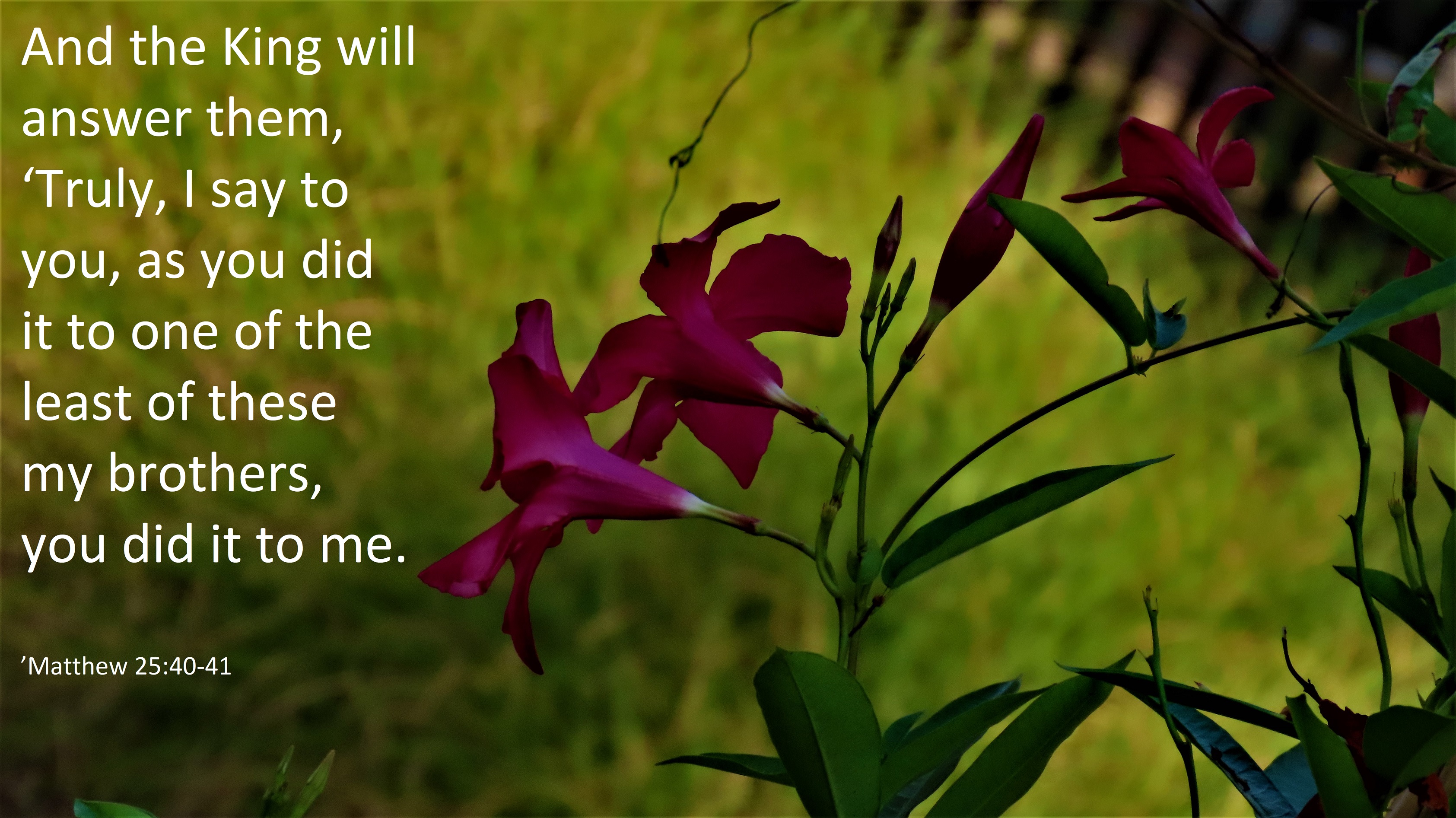 “Give to the less fortunate” – "Common Sense Of Miracles" "Christian ...