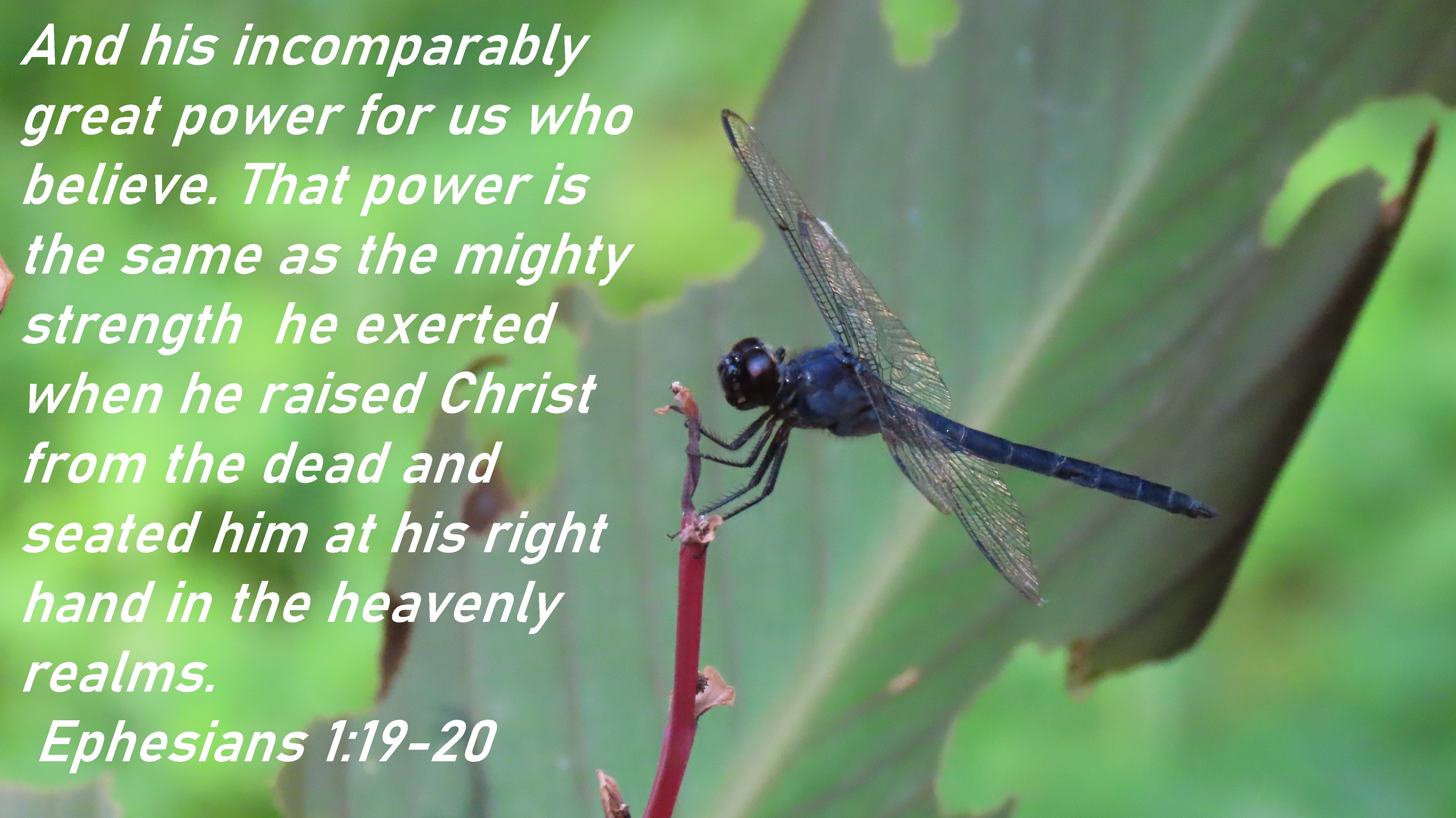 “Power” – "Common Sense Of Miracles" "Christian National Church Of Christ"