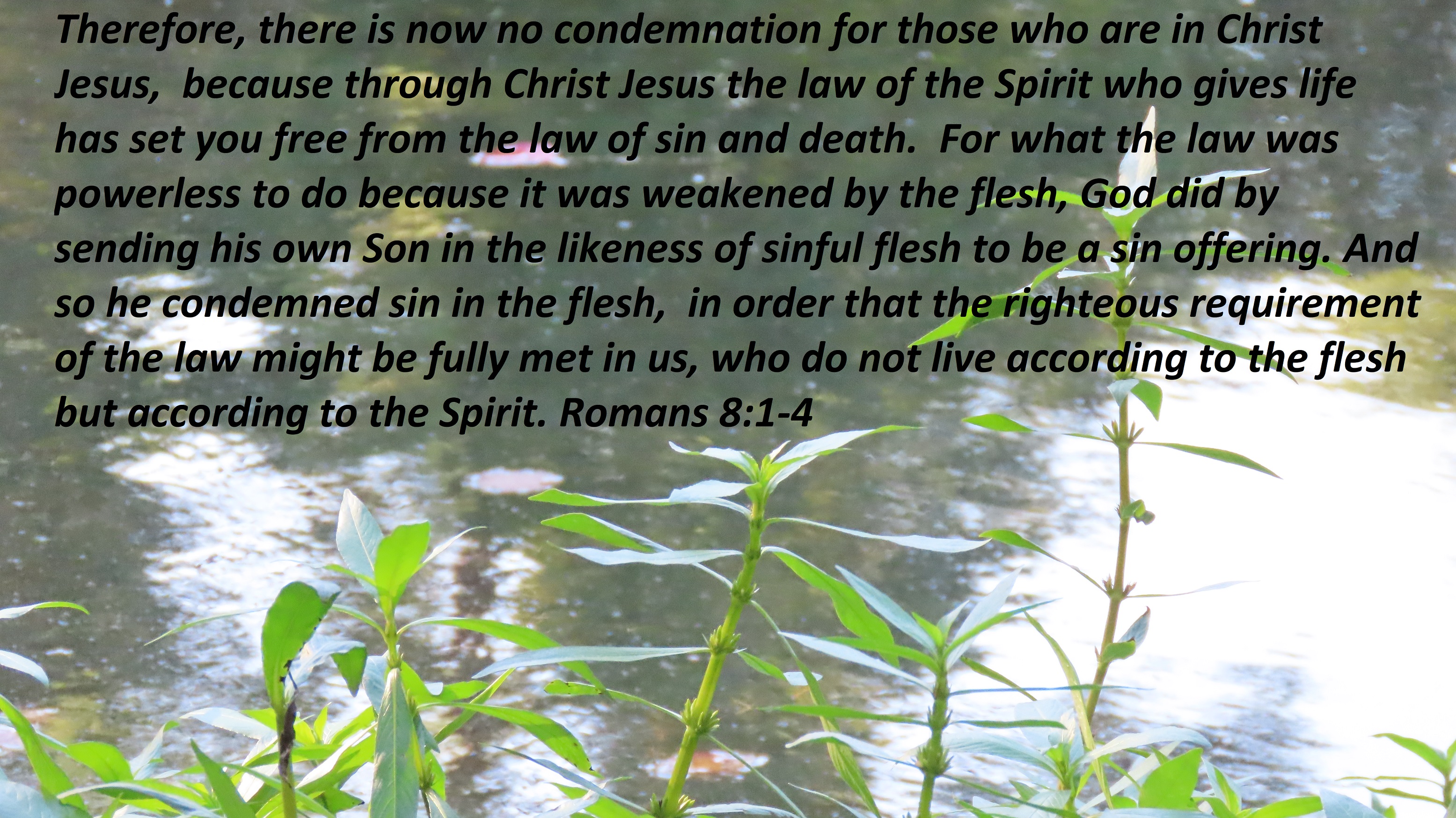 “Freedom In Jesus Christ” – "Common Sense Of Miracles" "Christian ...