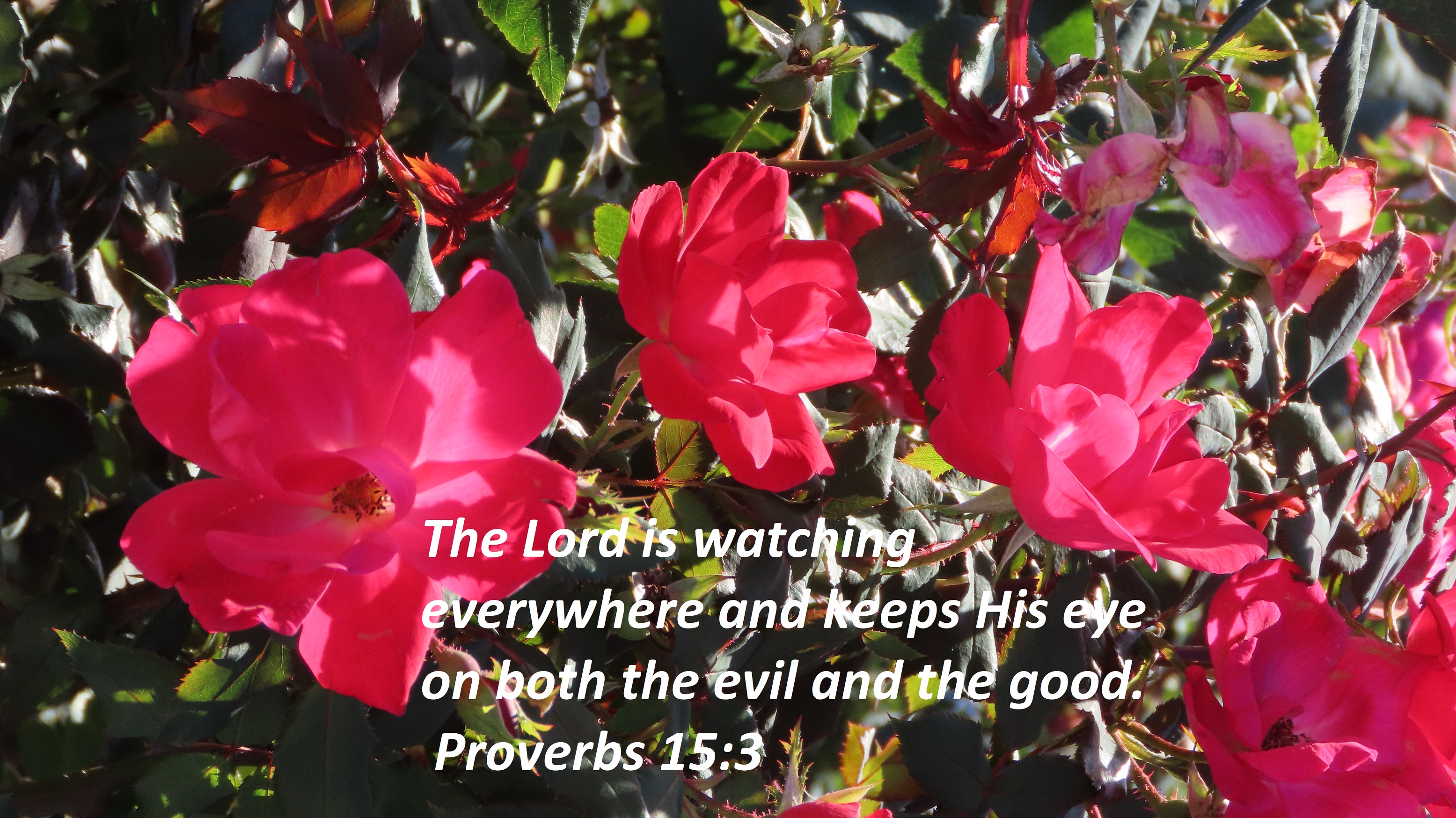 “God’s Is Everywhere” – "Common Sense Of Miracles" "Christian National ...
