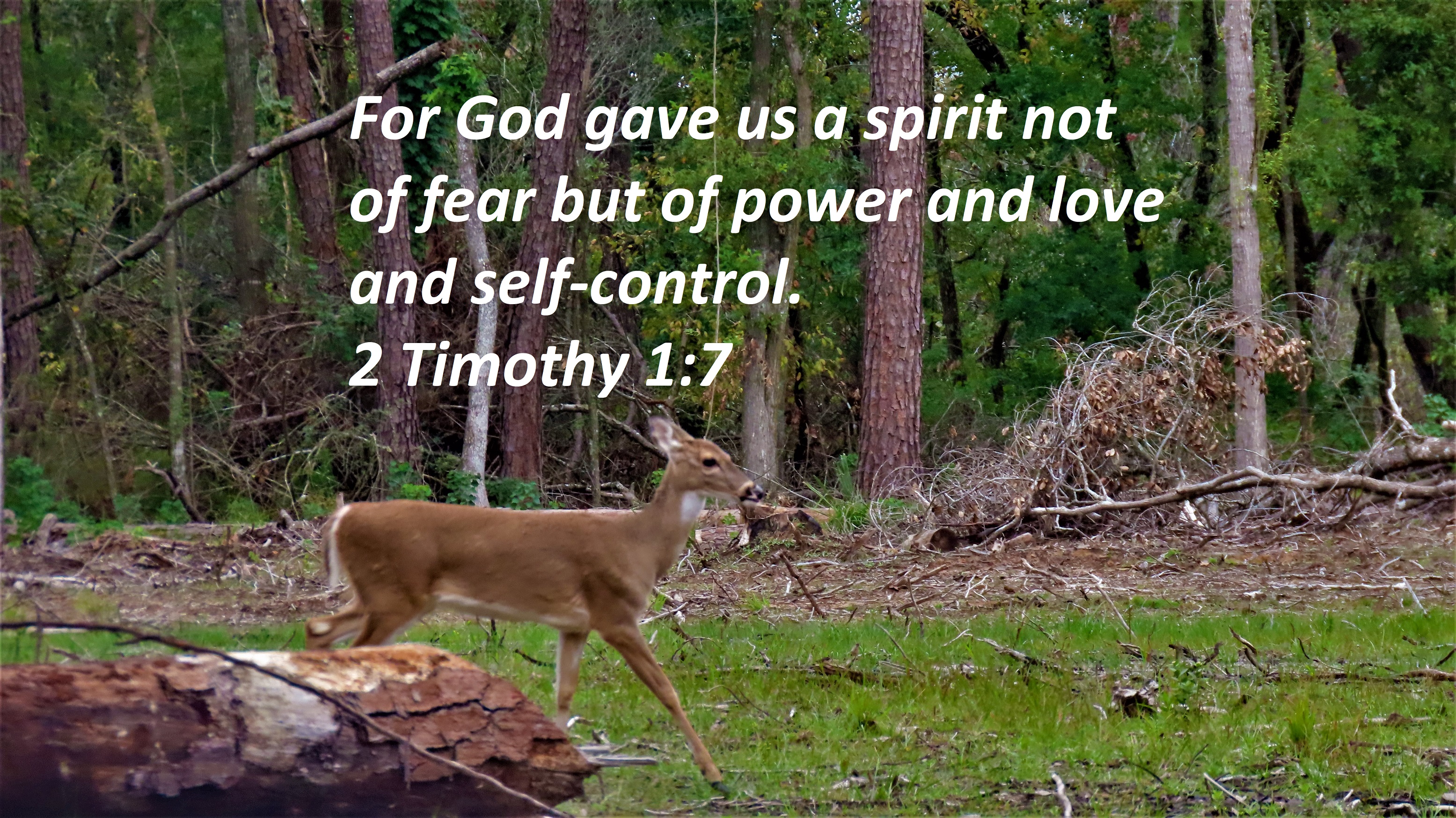 “Spirit Of Power” – "Common Sense Of Miracles" "Christian National ...