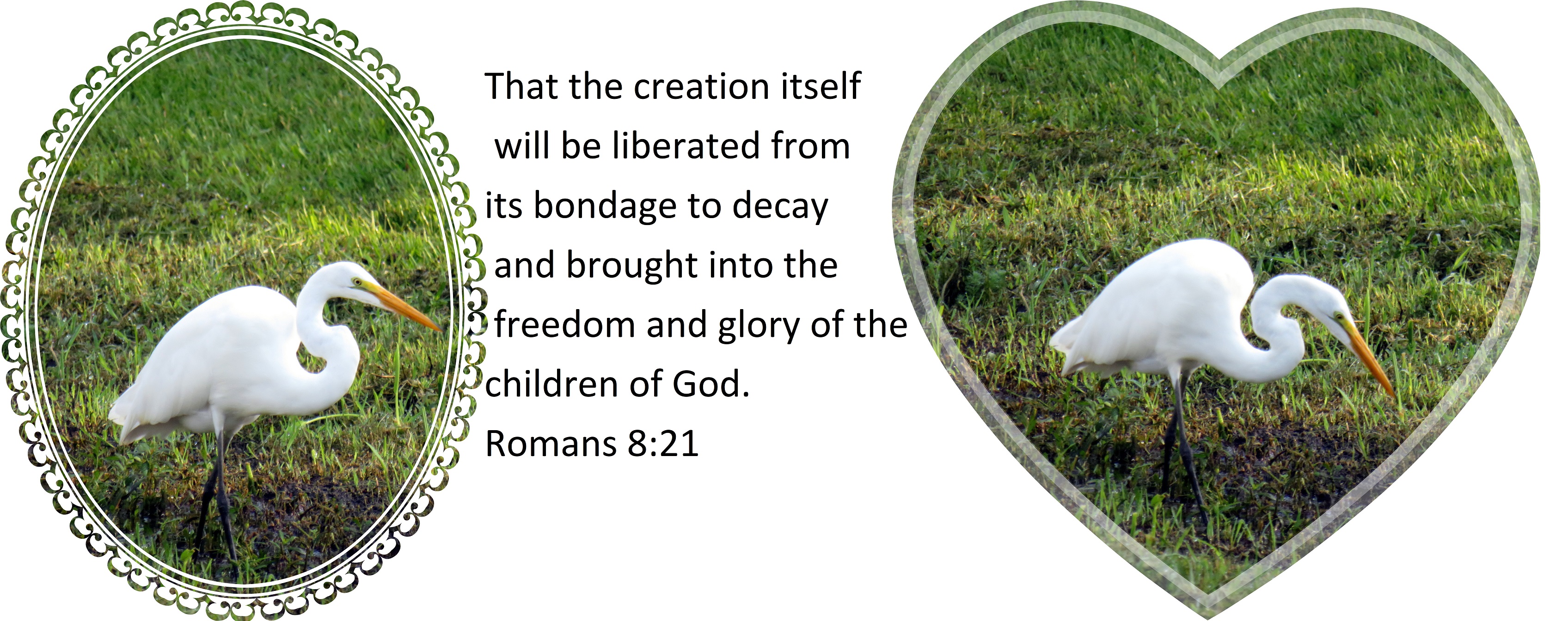 “Freedom And Glory” – "Common Sense Of Miracles" "Christian National ...