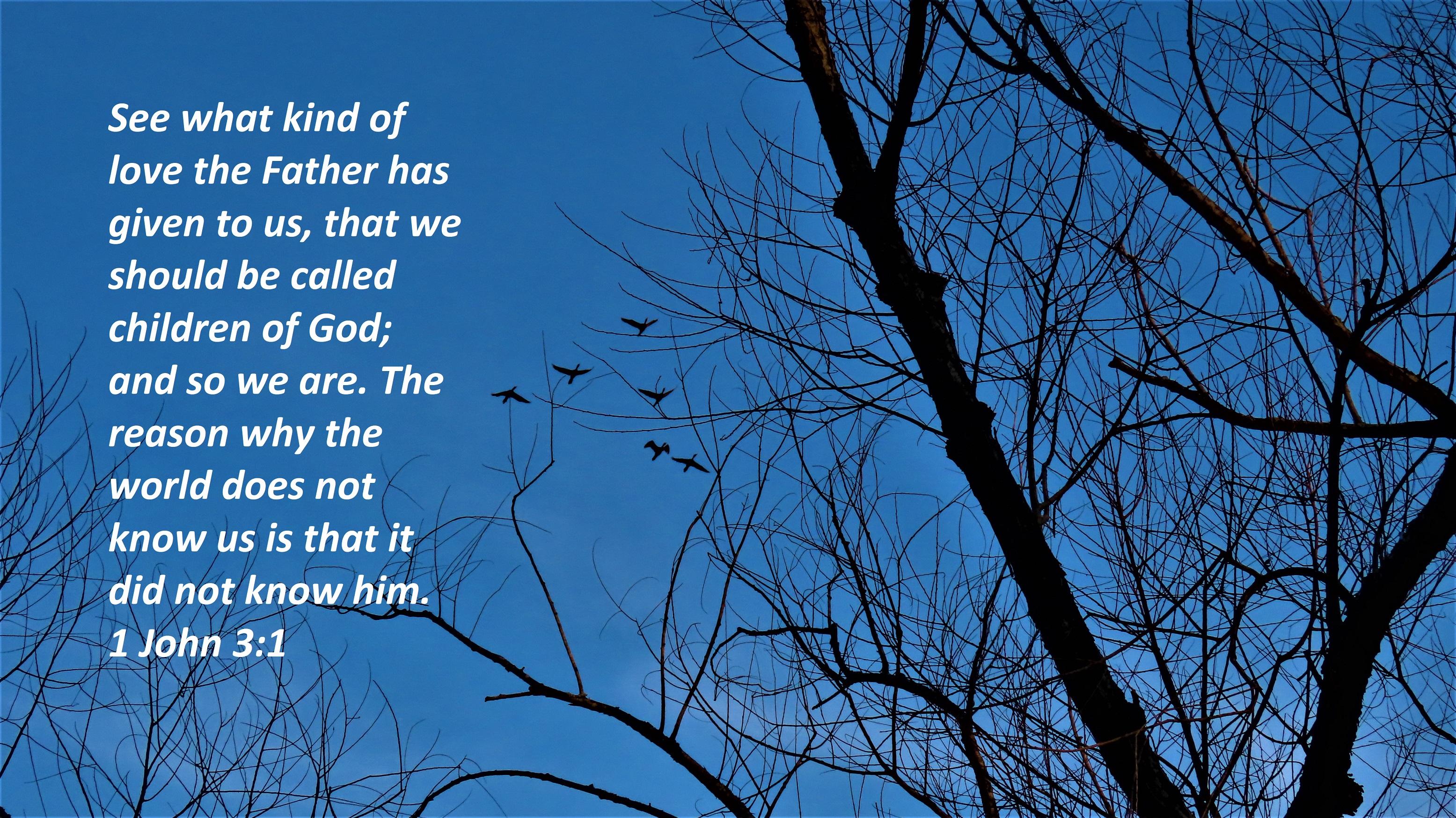 “God’s Love For Children” – "Common Sense Of Miracles" "Christian ...