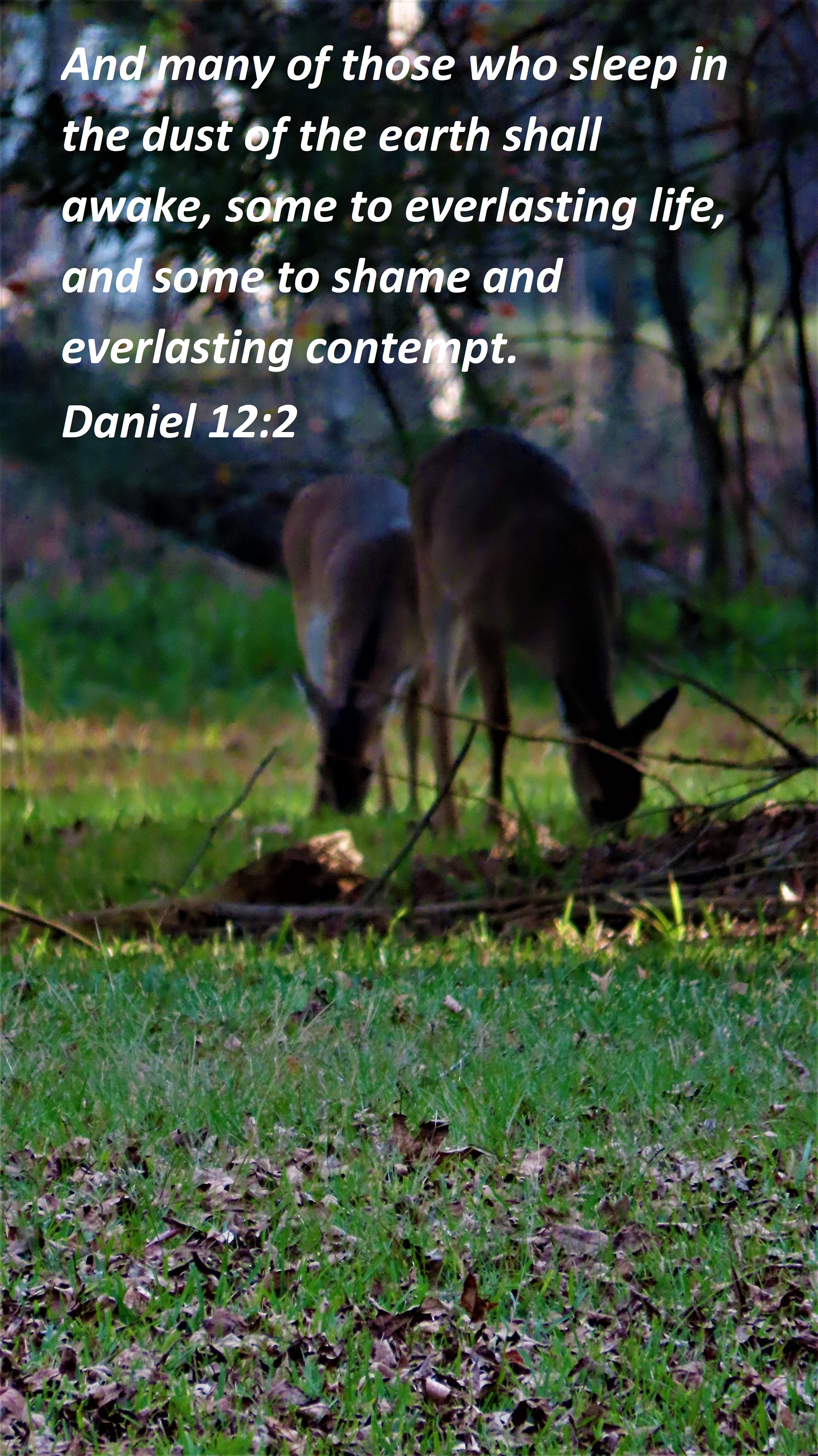 “Repent! Get Everlasting Life!” – "Common Sense Of Miracles" "Christian ...