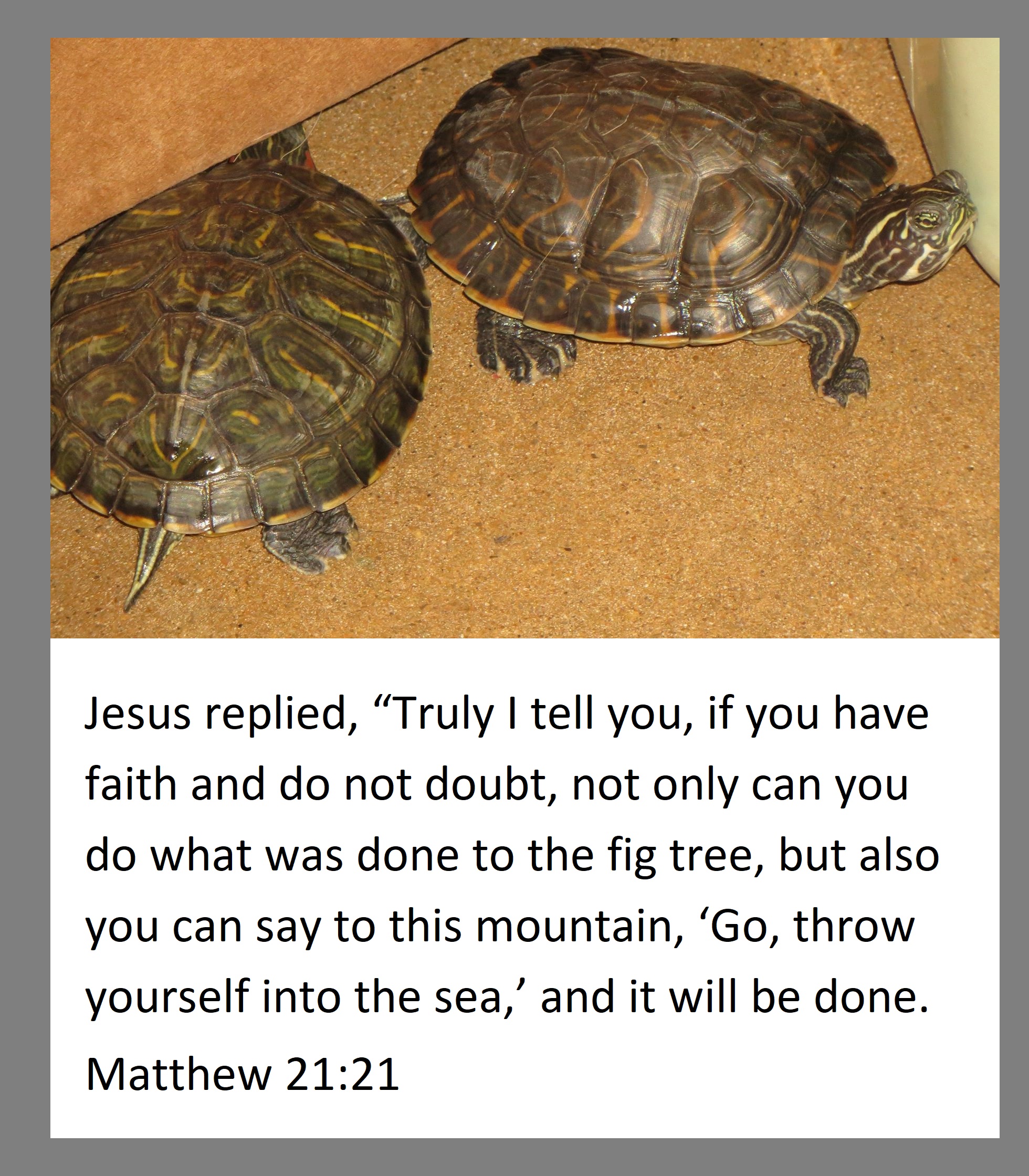“Have Faith” – "Common Sense Of Miracles" "Christian National Church Of ...