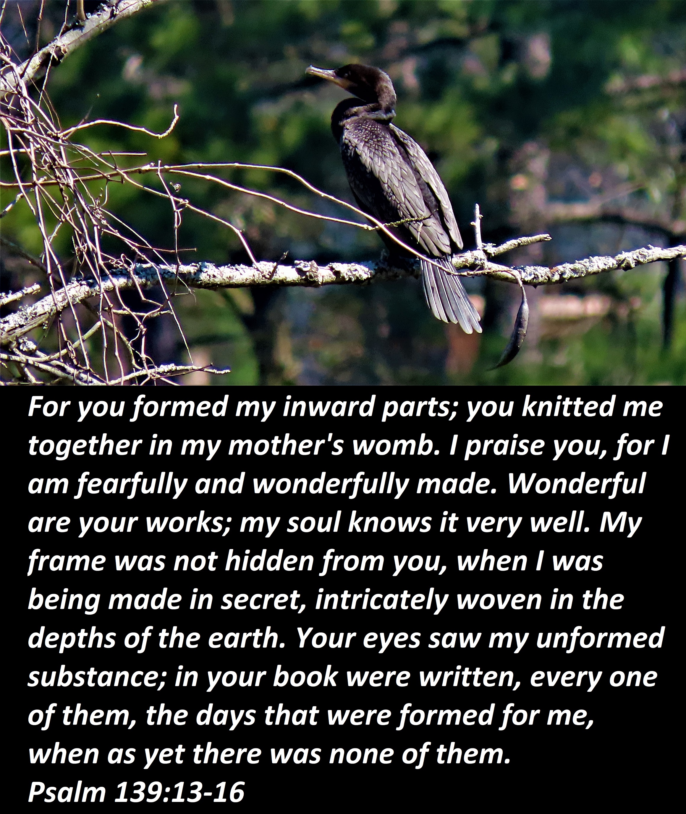 “God Formed You and I” – "Common Sense Of Miracles" "Christian National ...