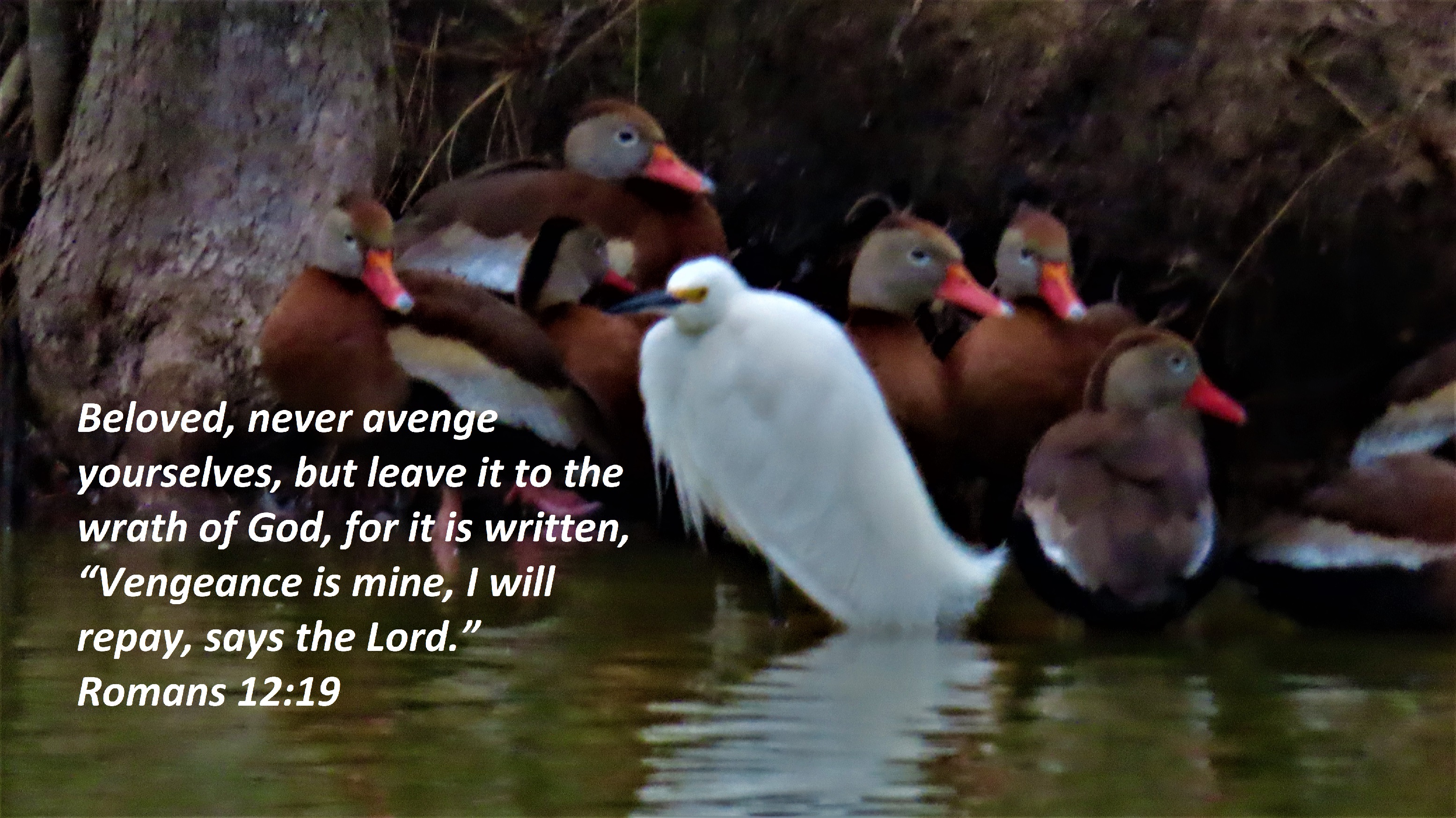 “God Will Repay” – "Common Sense Of Miracles" "Christian National ...