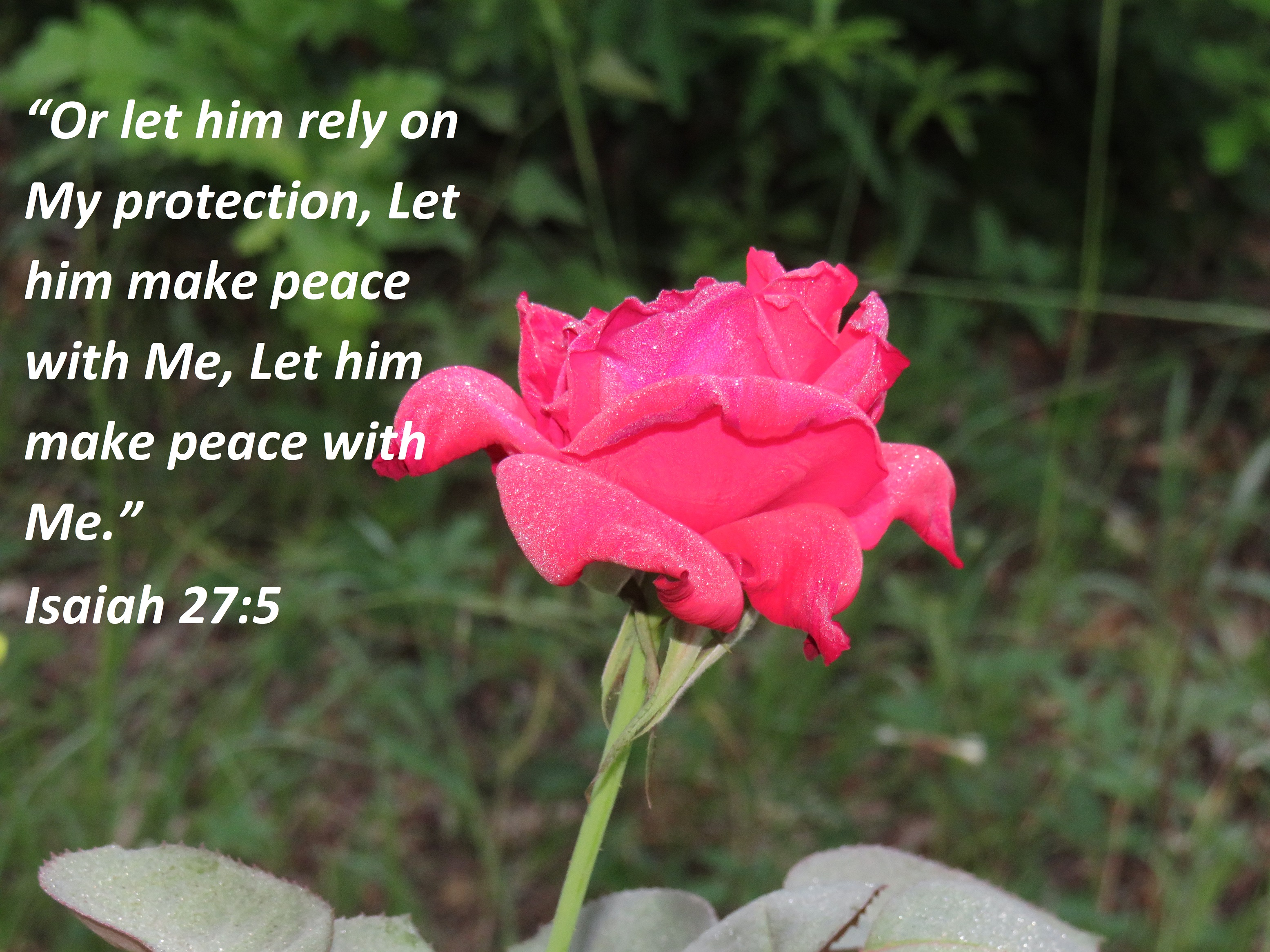 “Make Peace With God” – "Common Sense Of Miracles" "Christian National ...