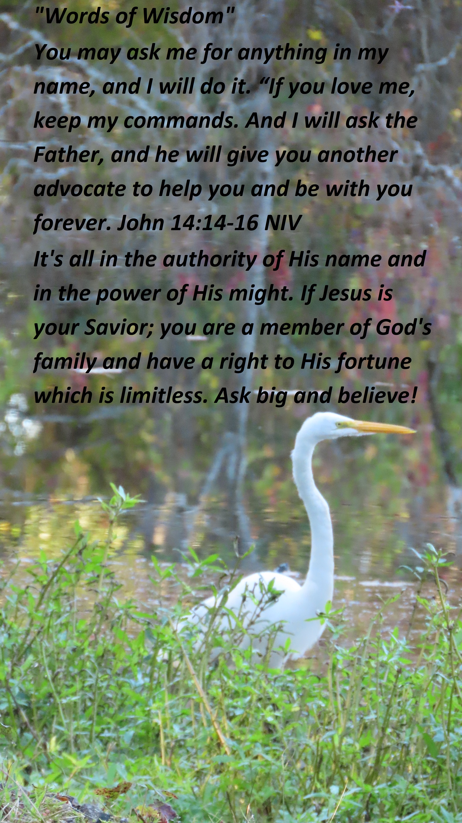 “Words of Wisdom” – "Common Sense Of Miracles" "Christian National ...