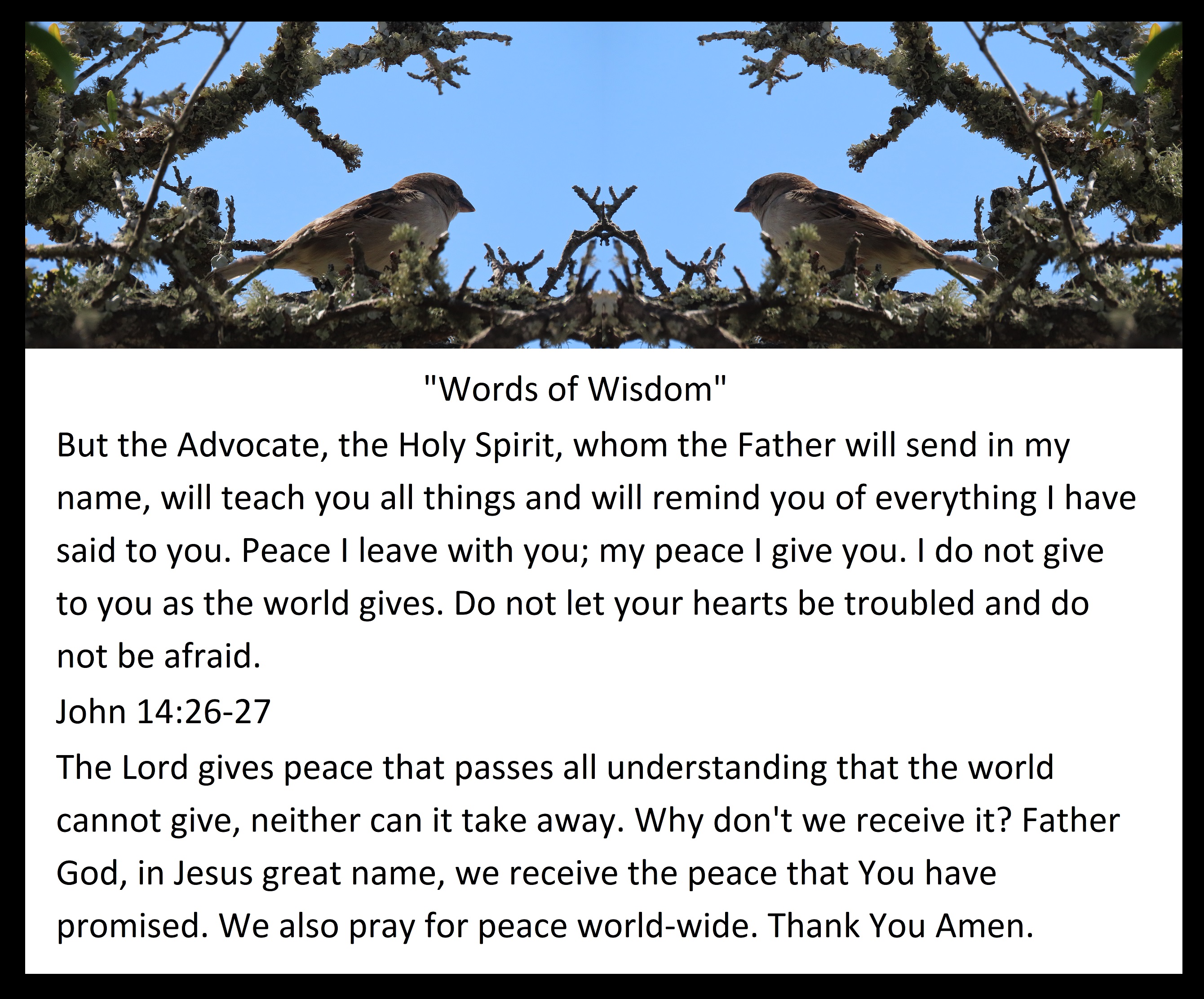 “Words of Wisdom” – "Common Sense Of Miracles" "Christian National ...