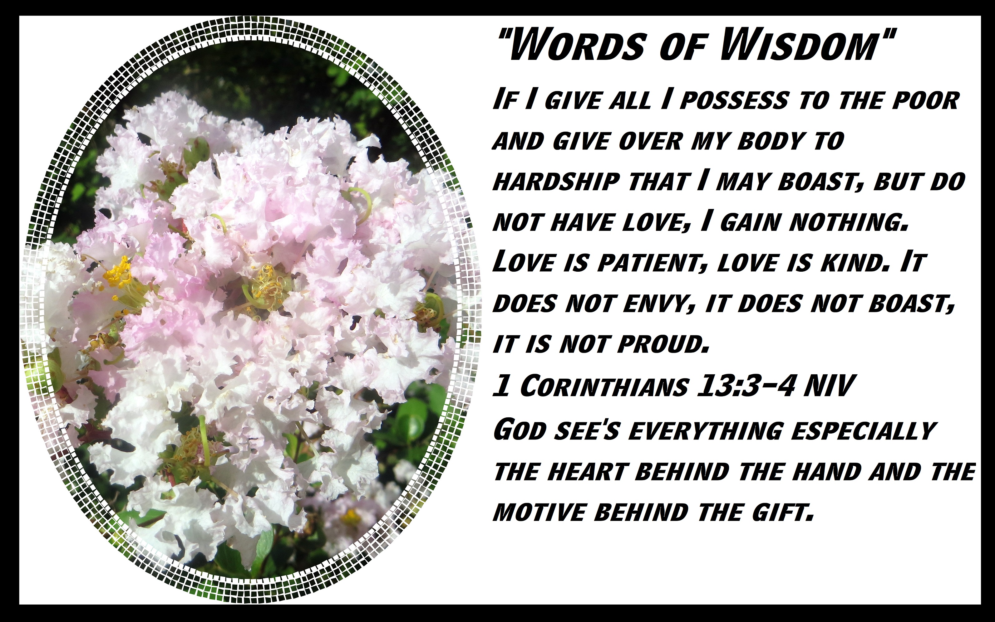 “Words of Wisdom” – "Common Sense Of Miracles" "Christian National ...