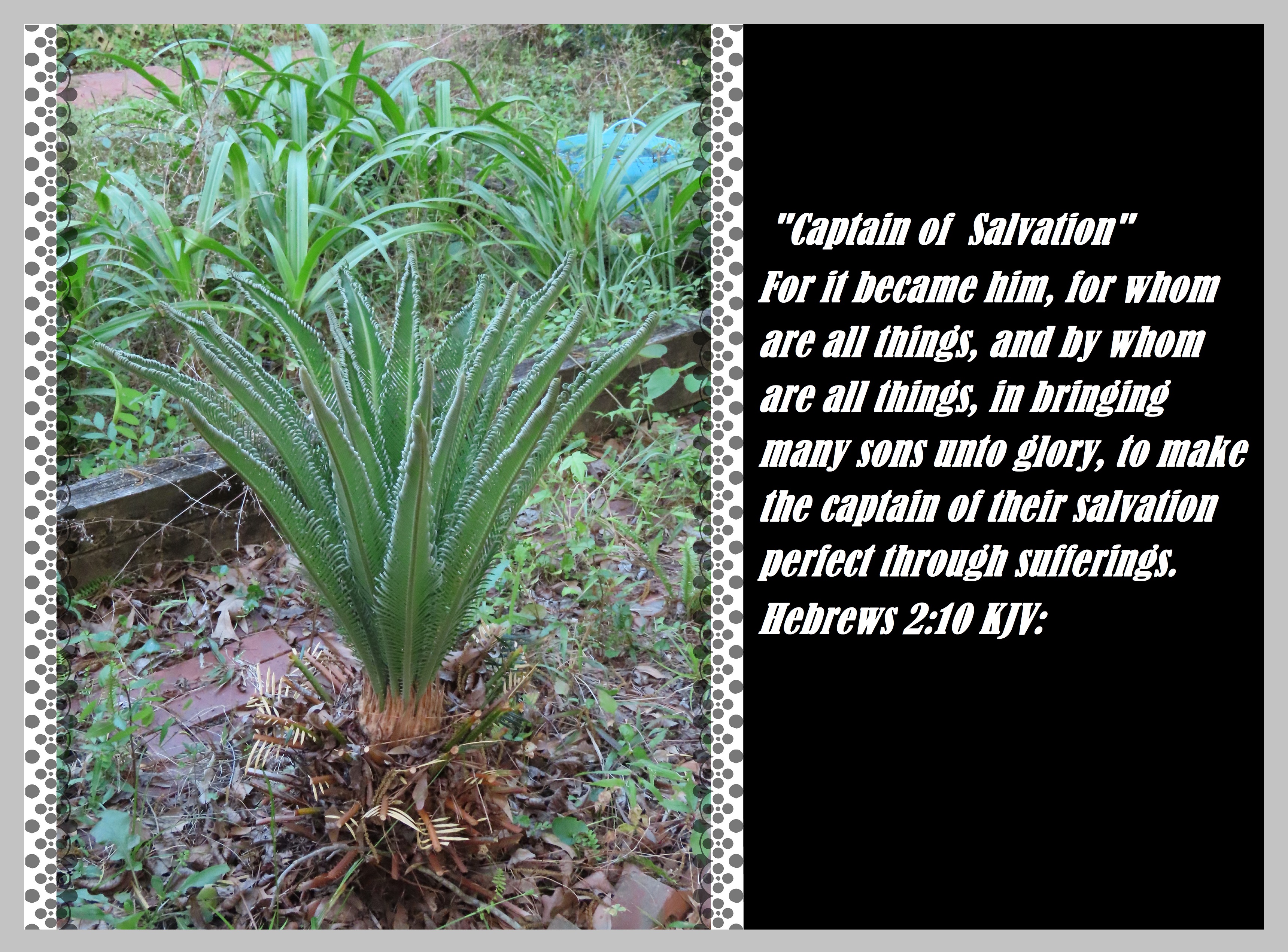 “Captain of Salvation” – "Common Sense Of Miracles" "Christian National ...