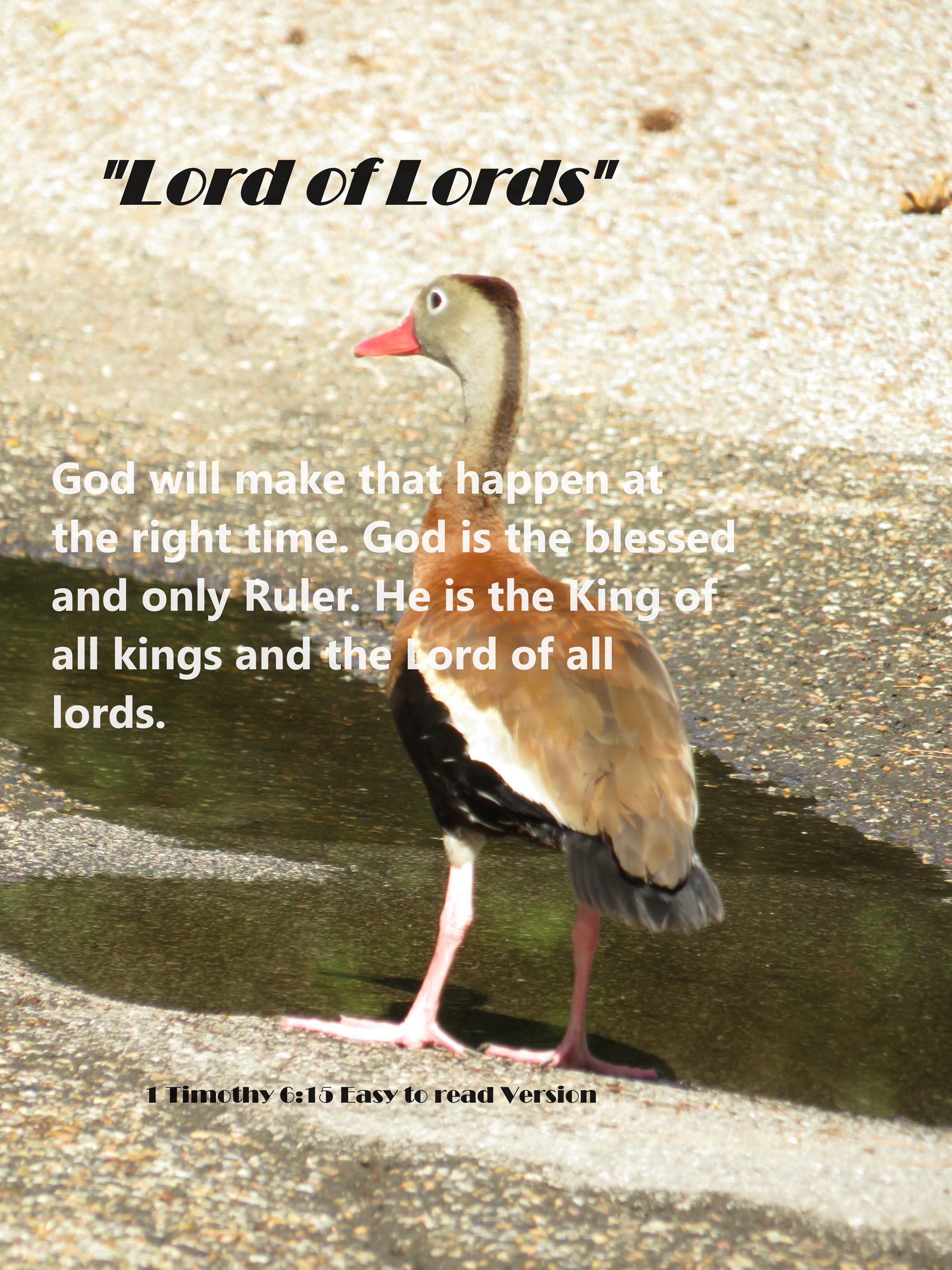 “Lord of Lords” – "Common Sense Of Miracles" "Christian National Church ...