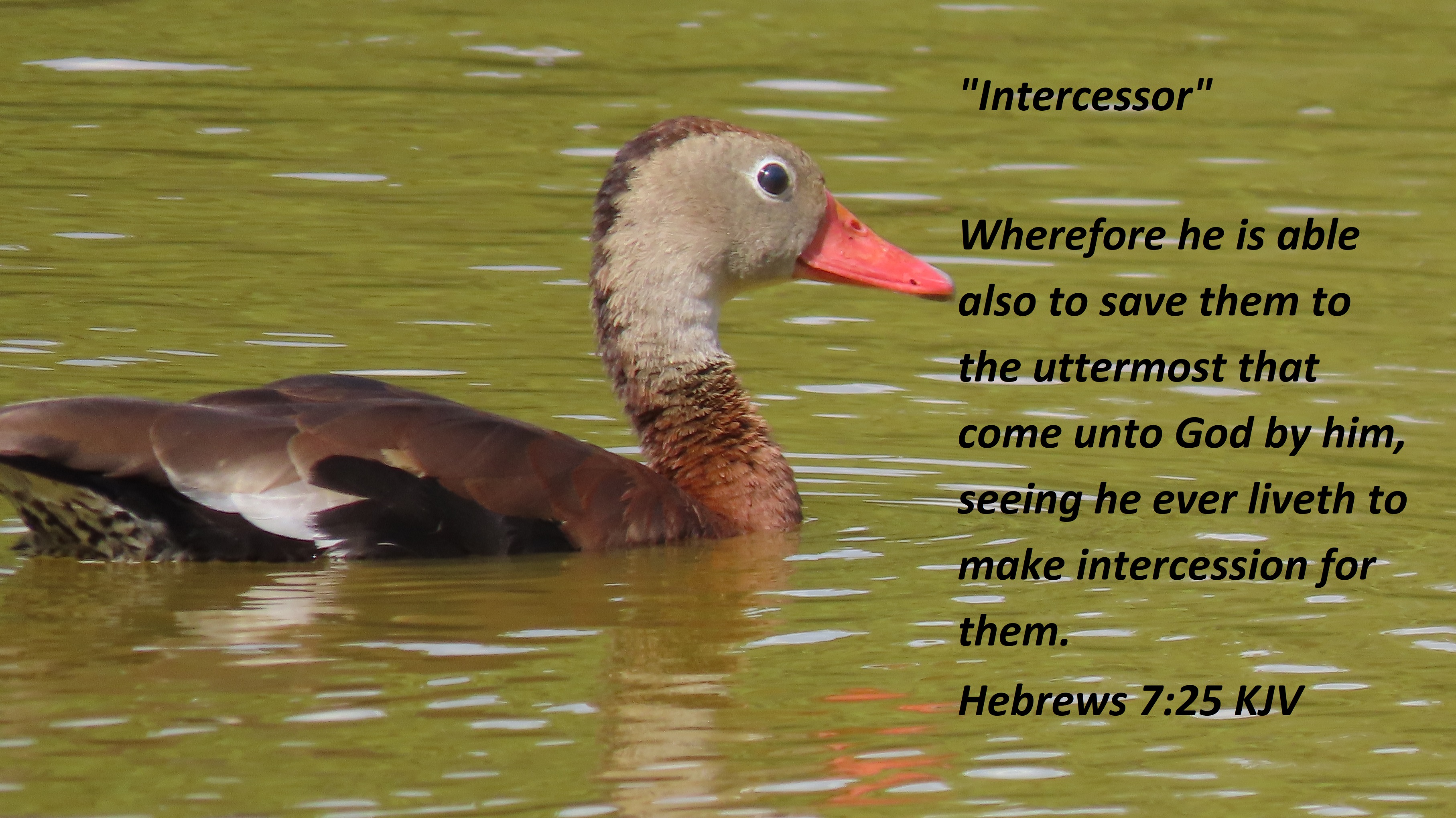 “Intercessor” – "Common Sense Of Miracles" "Christian National Church ...