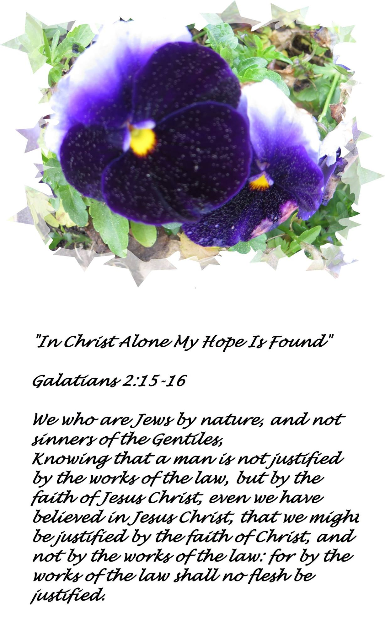 “In Christ Alone My Hope Is Found” – "Common Sense Of Miracles ...
