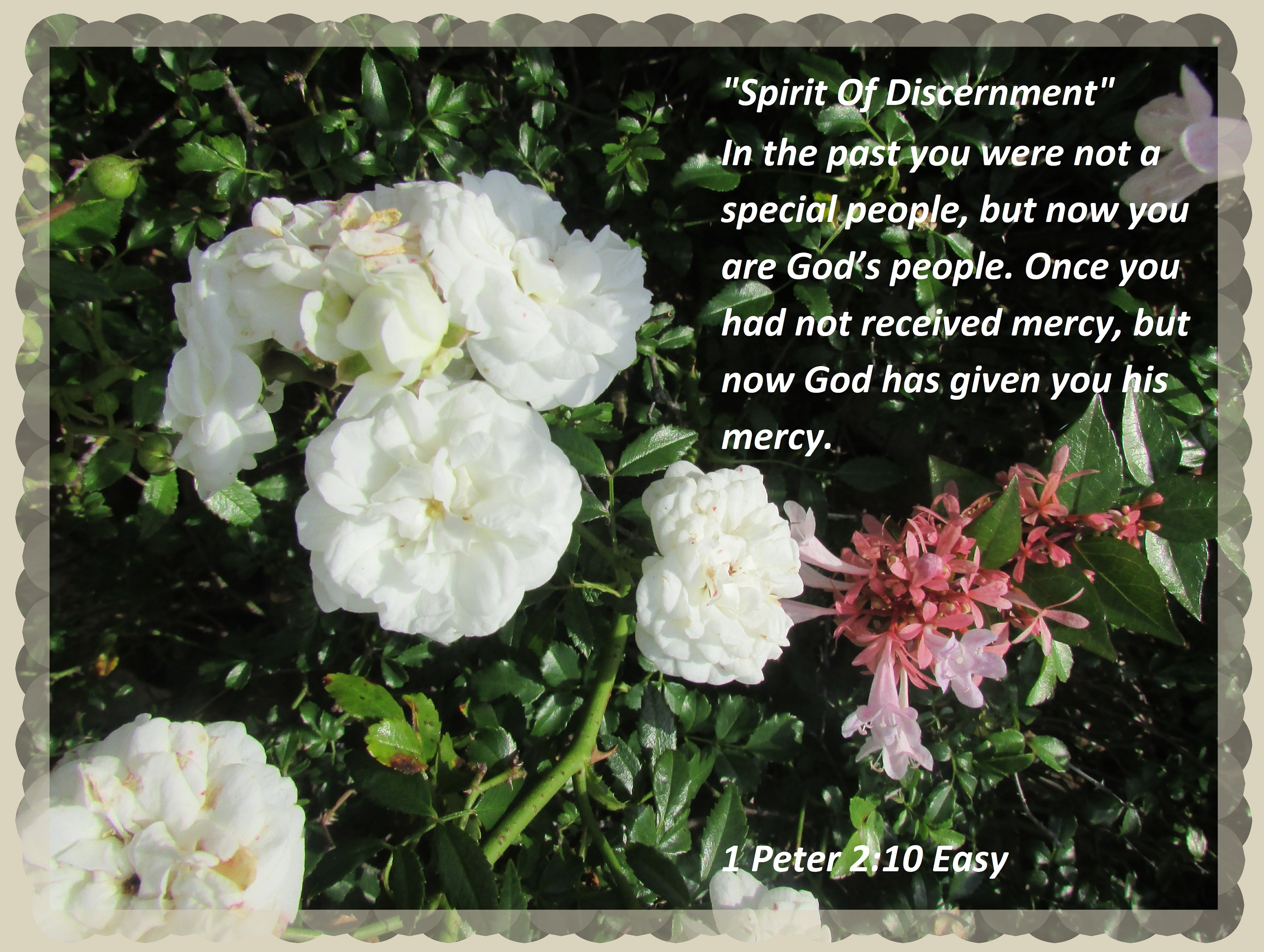 “Spirit Of Discernment” – "Common Sense Of Miracles" "Christian ...