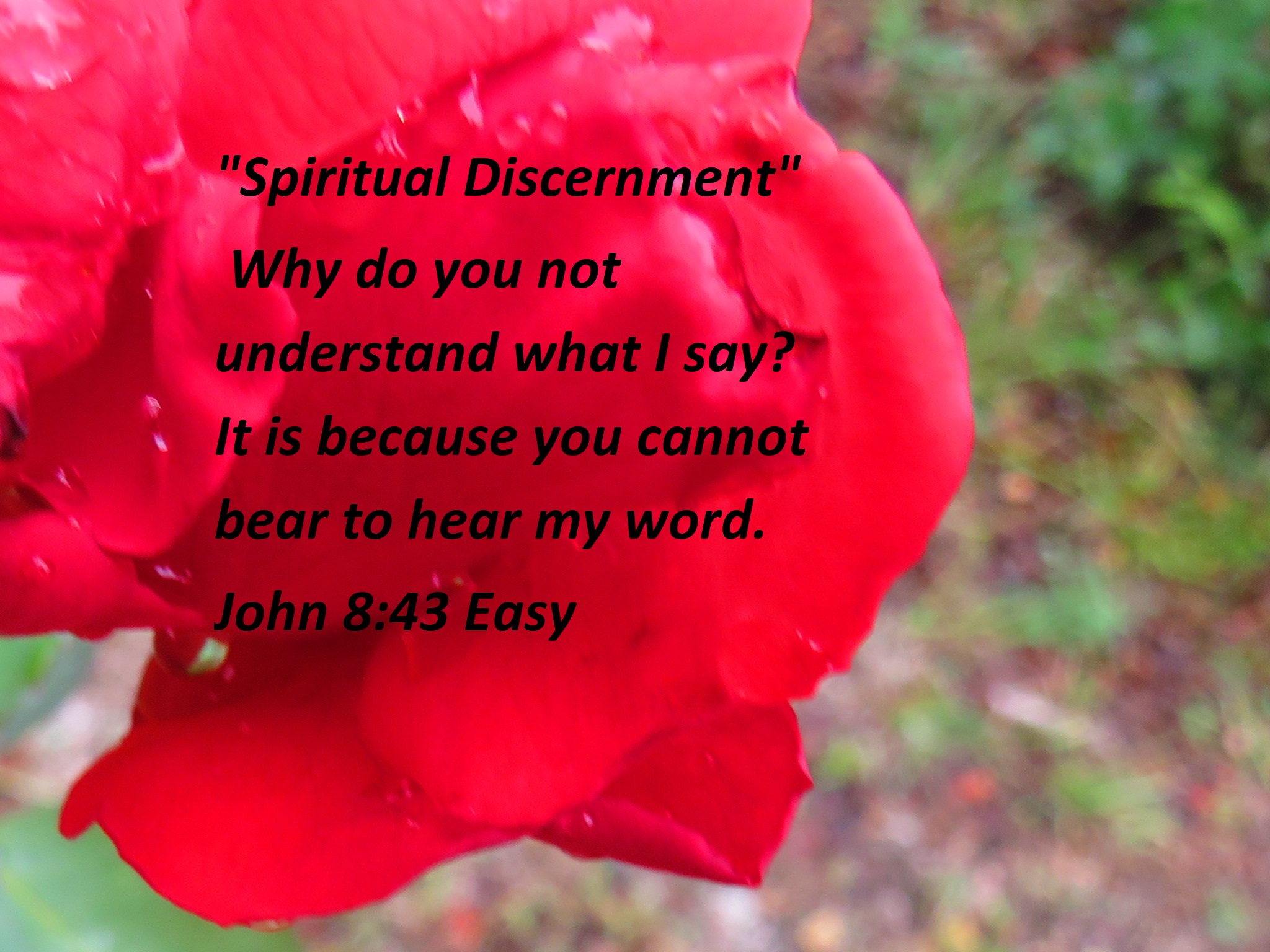 “Spiritual Discernment” – "Common Sense Of Miracles" "Christian ...