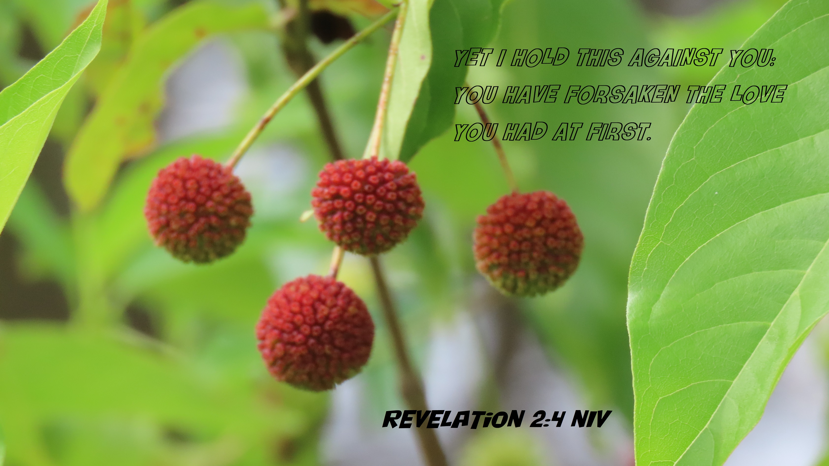 “Cultivating Lively Devotion” – "Common Sense Of Miracles" "Christian ...