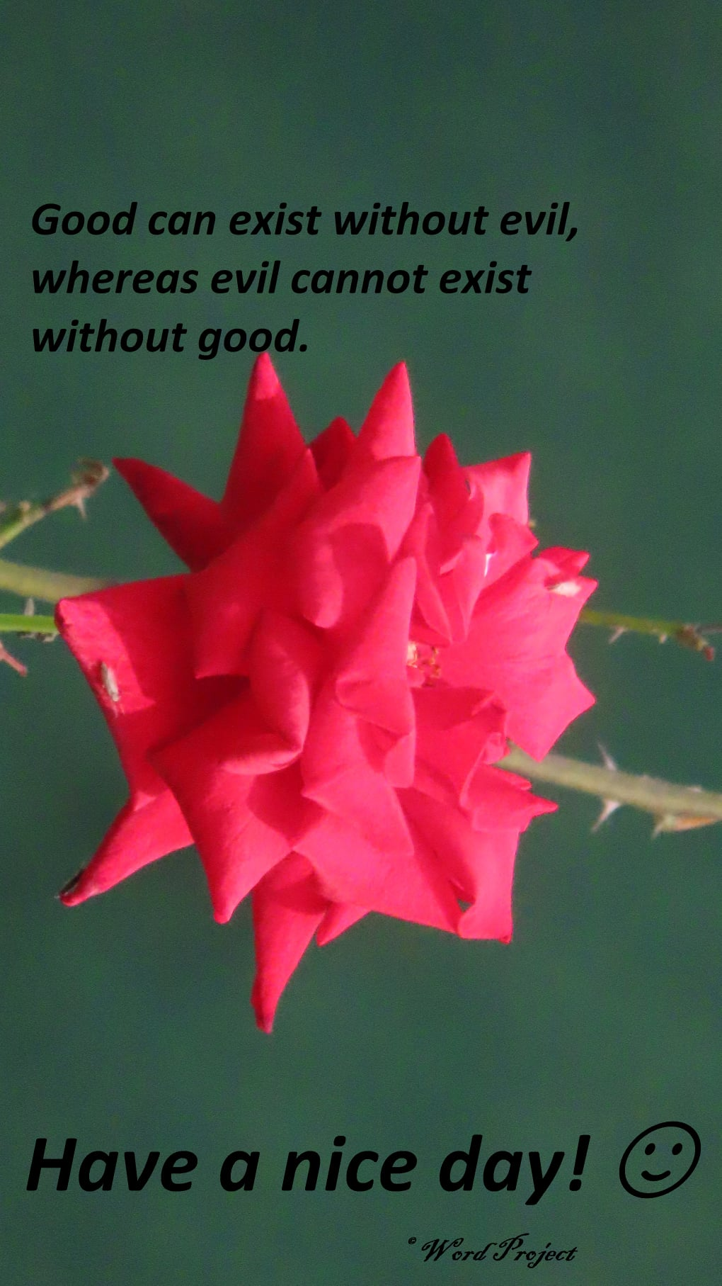 “Quote of the day” – "Common Sense Of Miracles" "Christian National ...