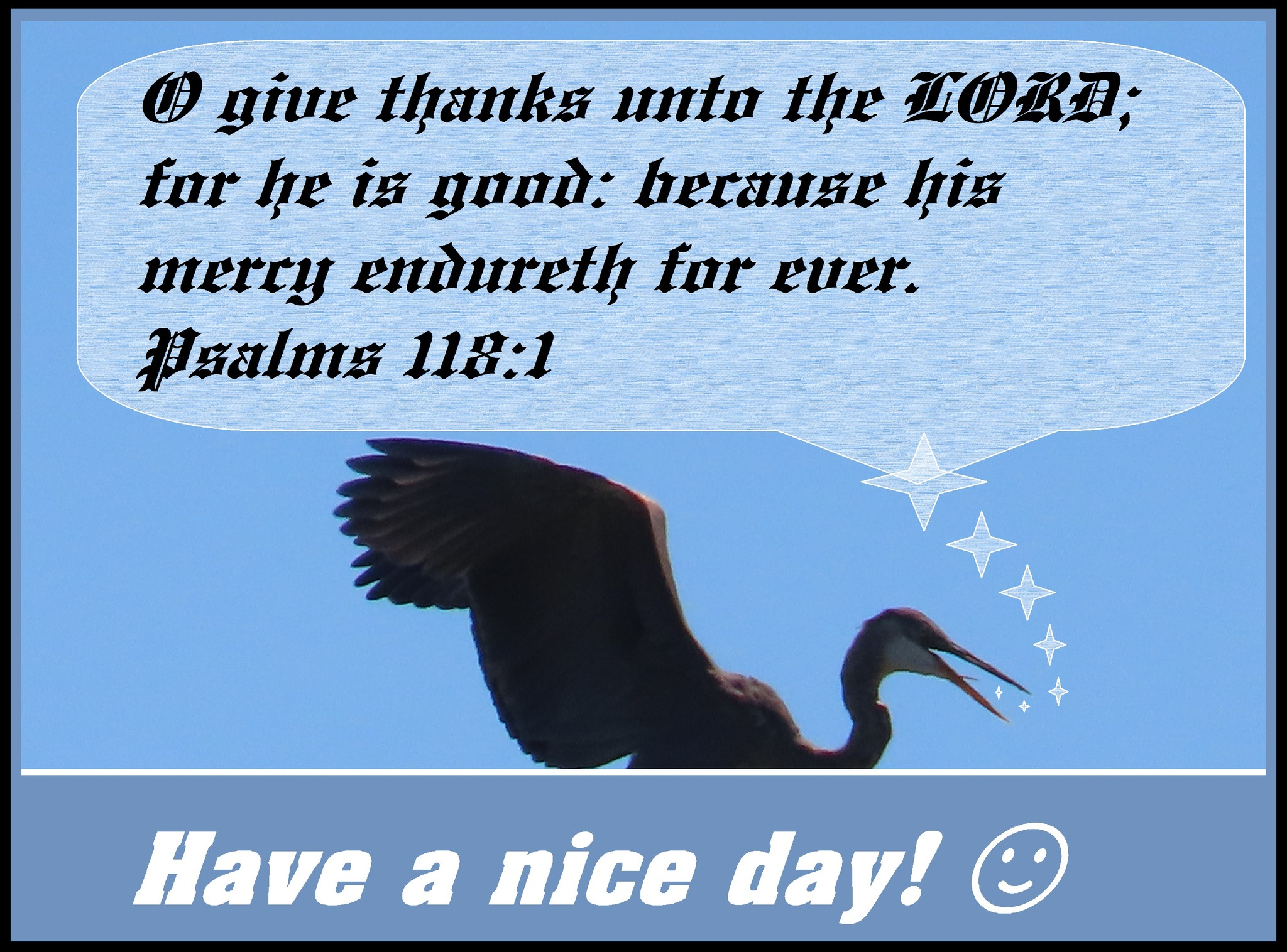 “Give Thanks To The Lord” – "Common Sense Of Miracles" "Christian ...