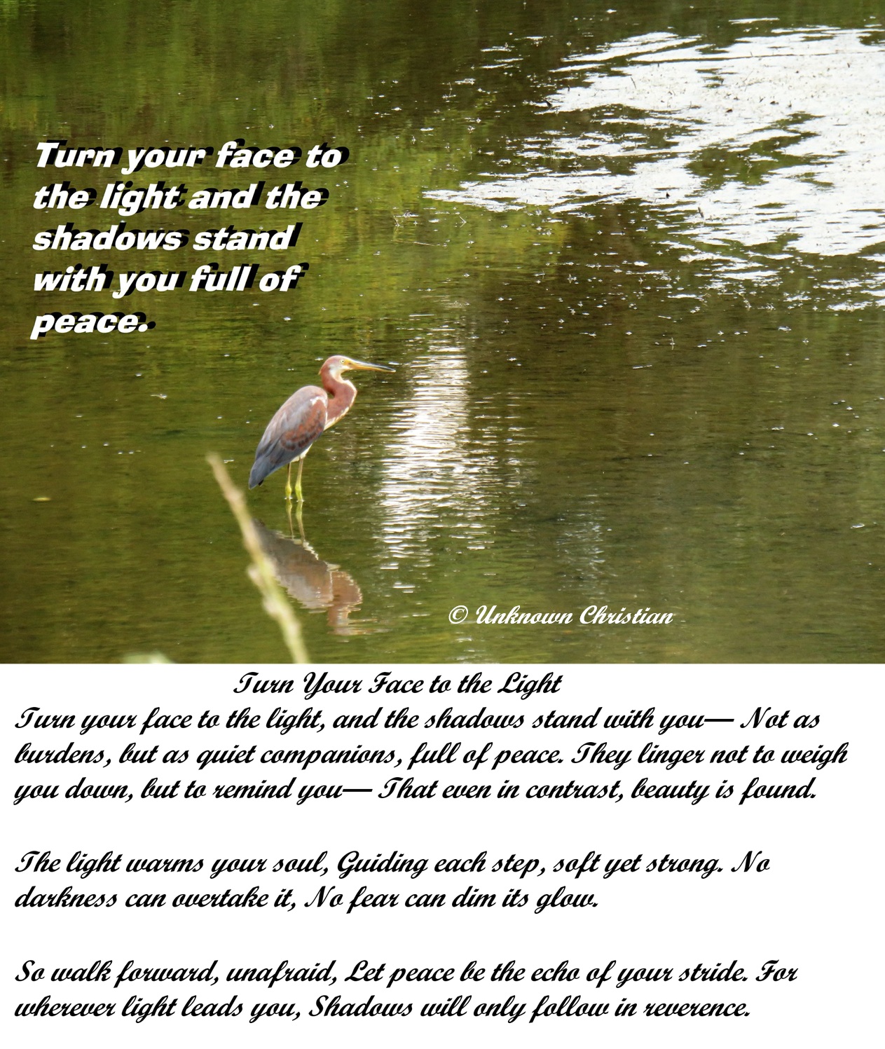 “Turn Your Face to the Light” – "Common Sense Of Miracles" "Christian ...