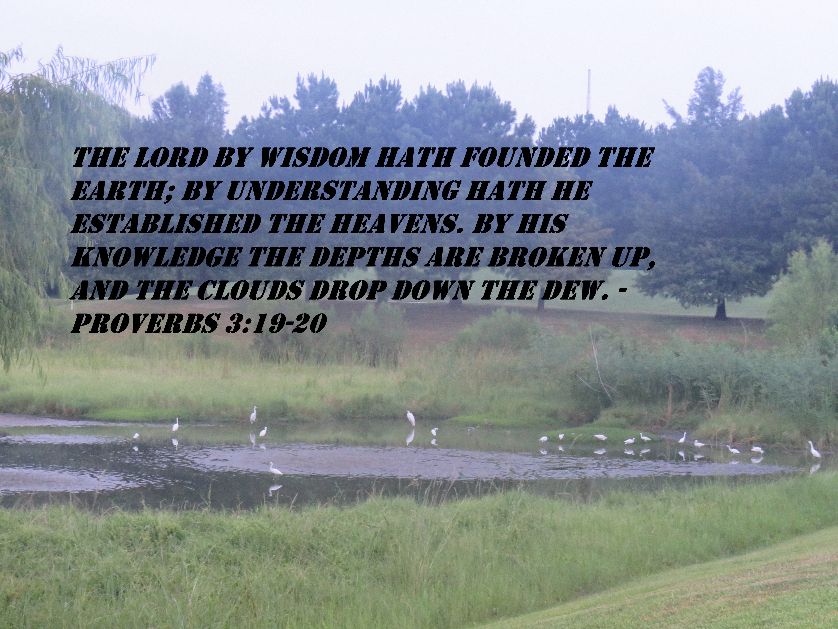 “The Divine Architect” – "Common Sense Of Miracles" "Christian National ...