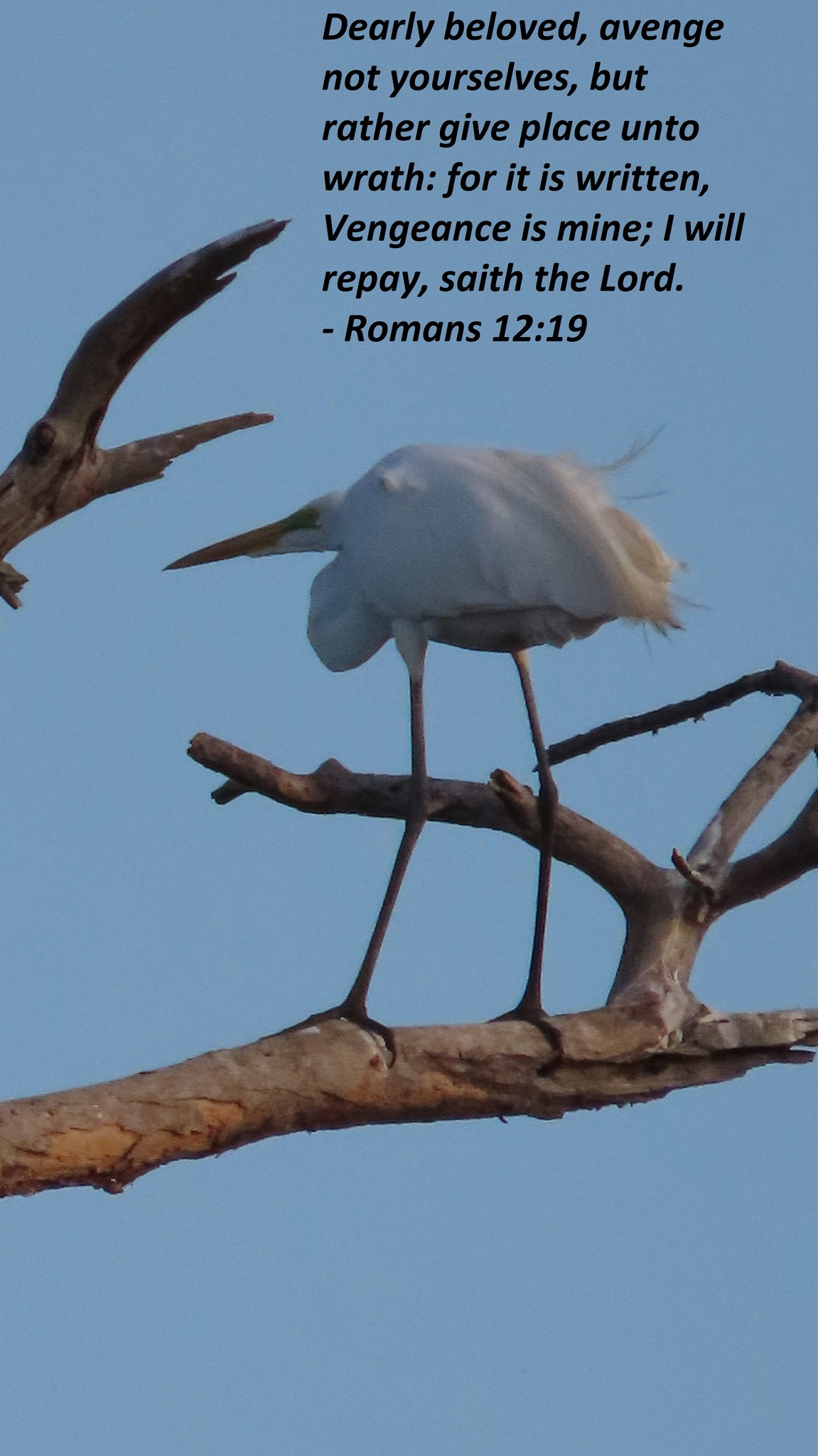 “Vengeance Is The Lords” – "Common Sense Of Miracles" "Christian ...