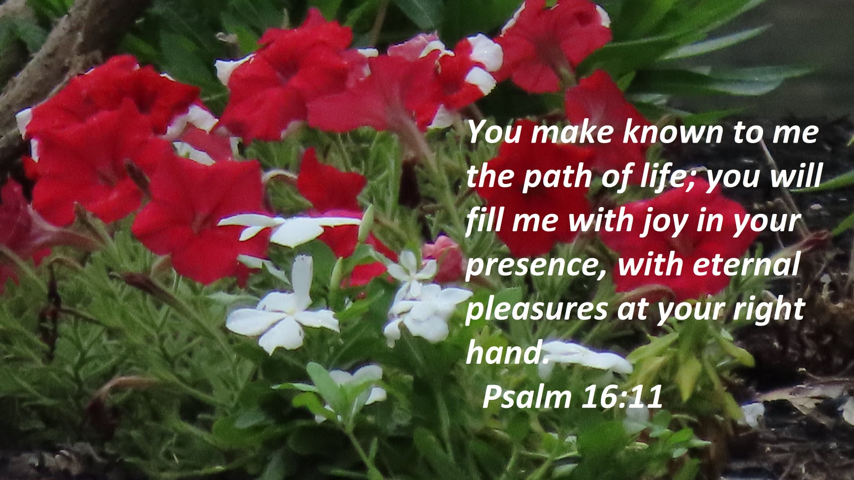 “God’s Guidance, Joy, & Eternal Blessings” – "Common Sense Of Miracles ...