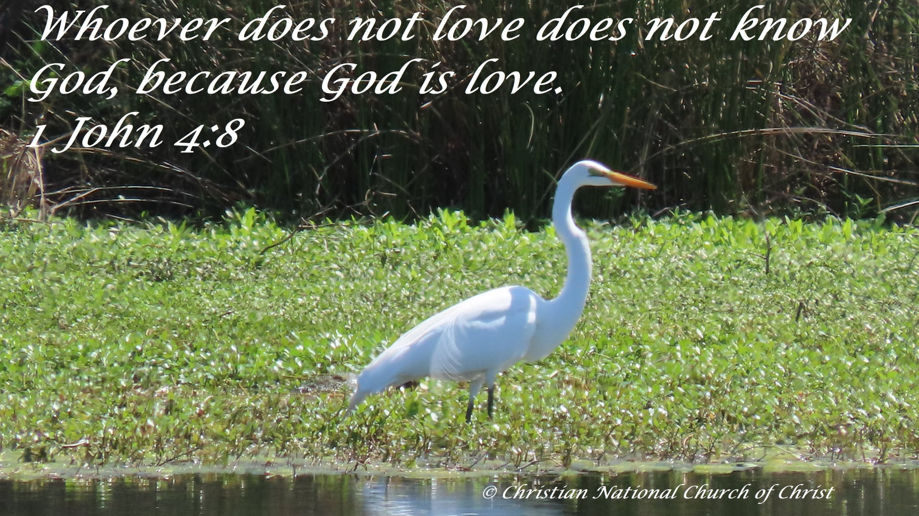 “God Is Love” – "Common Sense Of Miracles" "Christian National Church ...