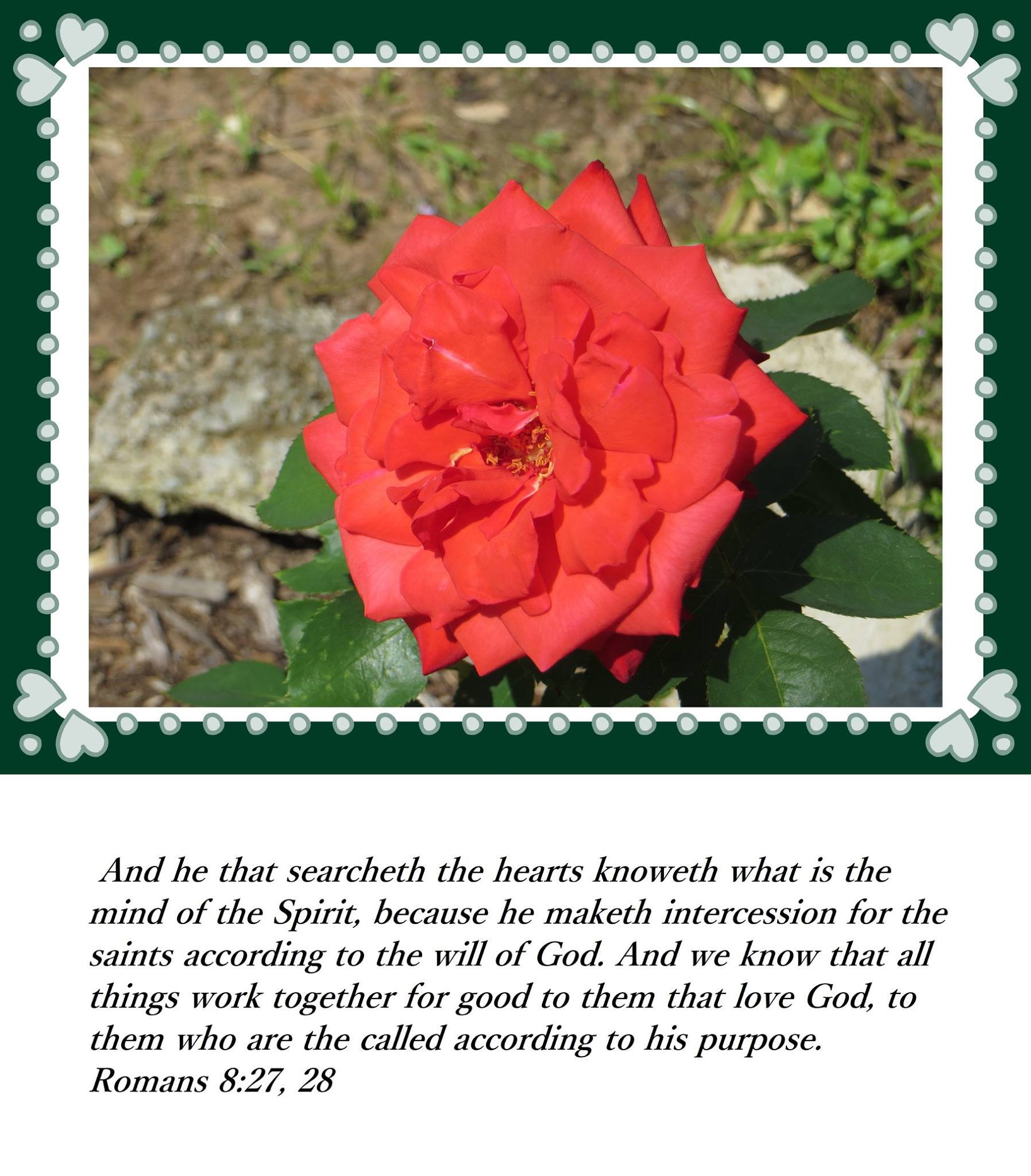 “Spirit Makes Intercession” – "Common Sense Of Miracles" "Christian ...